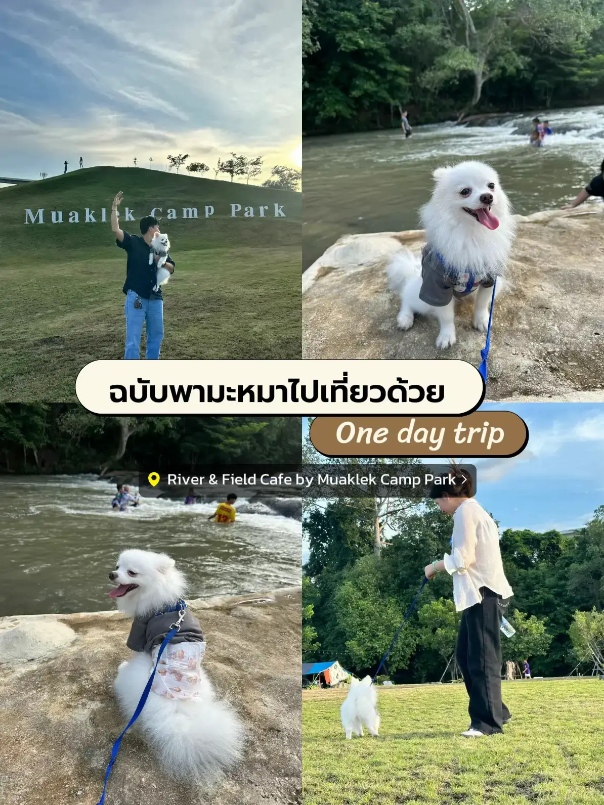 One day trip ฉบับพามะหมาไปเที่ยวด้วย | แกลเลอรีที่โพสต์โดย Sugarpat ...