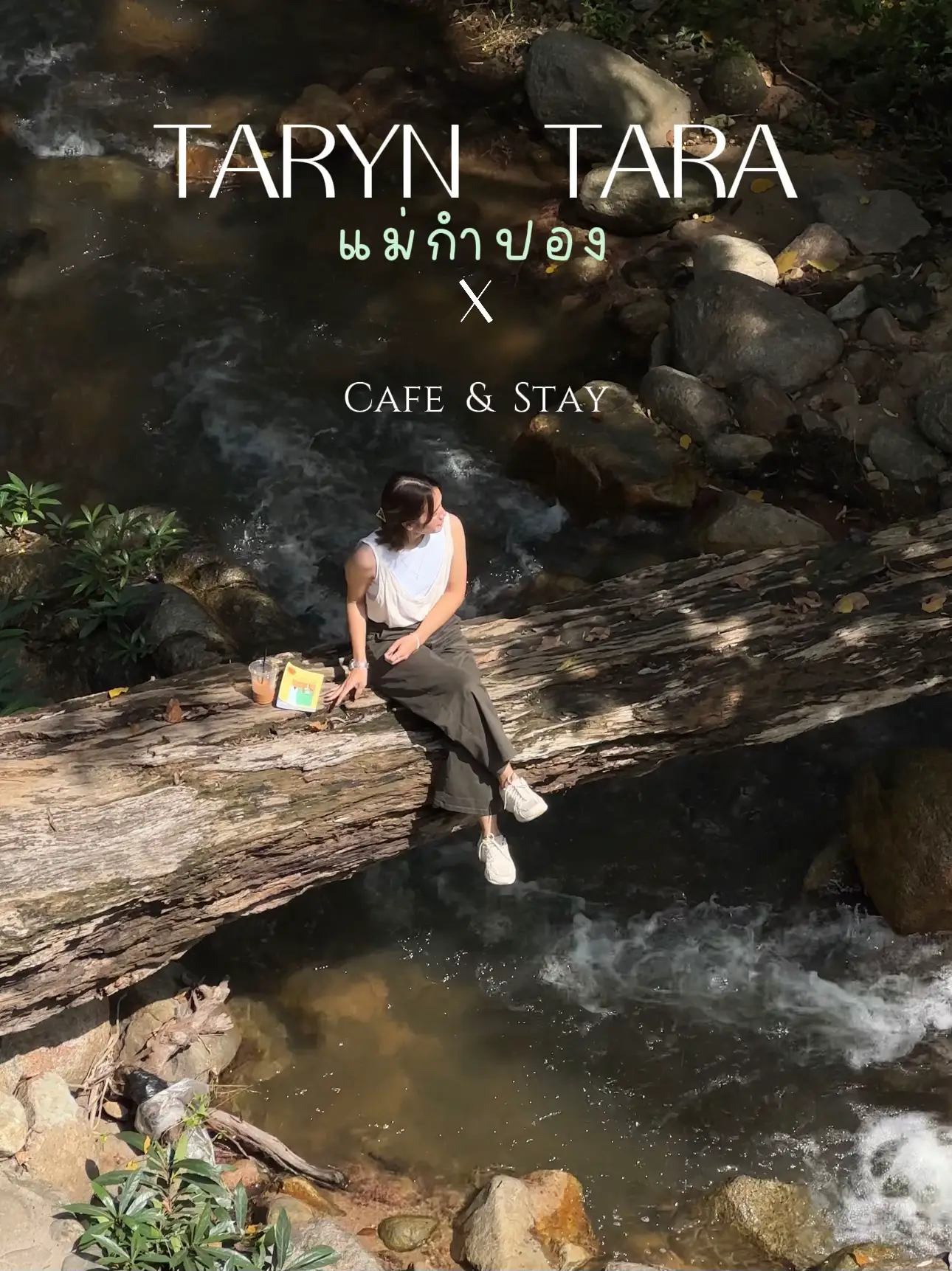 TARYN - TARA cafe & stay แม่กำปอง | แกลเลอรีที่โพสต์โดย Plathong_ch ...