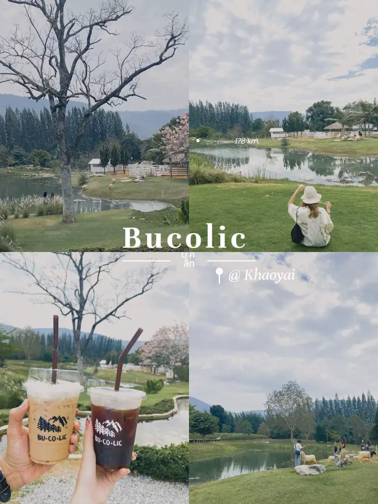 แจกมุมถ่ายรูป BUCOLIC CAFE | แกลเลอรีที่โพสต์โดย Pakji.pjr | Lemon8
