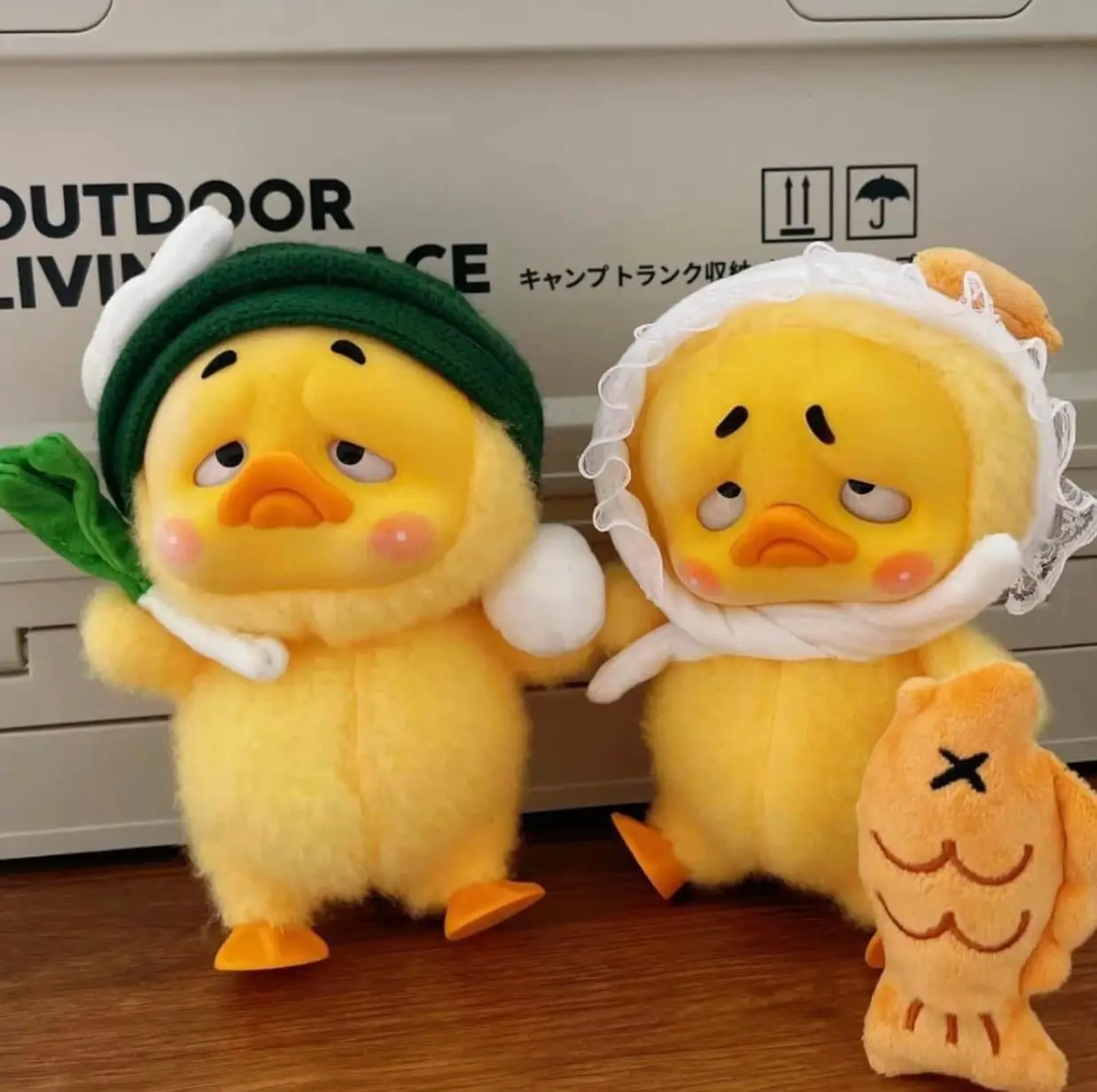 The duck is frowning. 🐥🐣 | Gallery posted by Thisisoum .🌷💓 | Lemon8