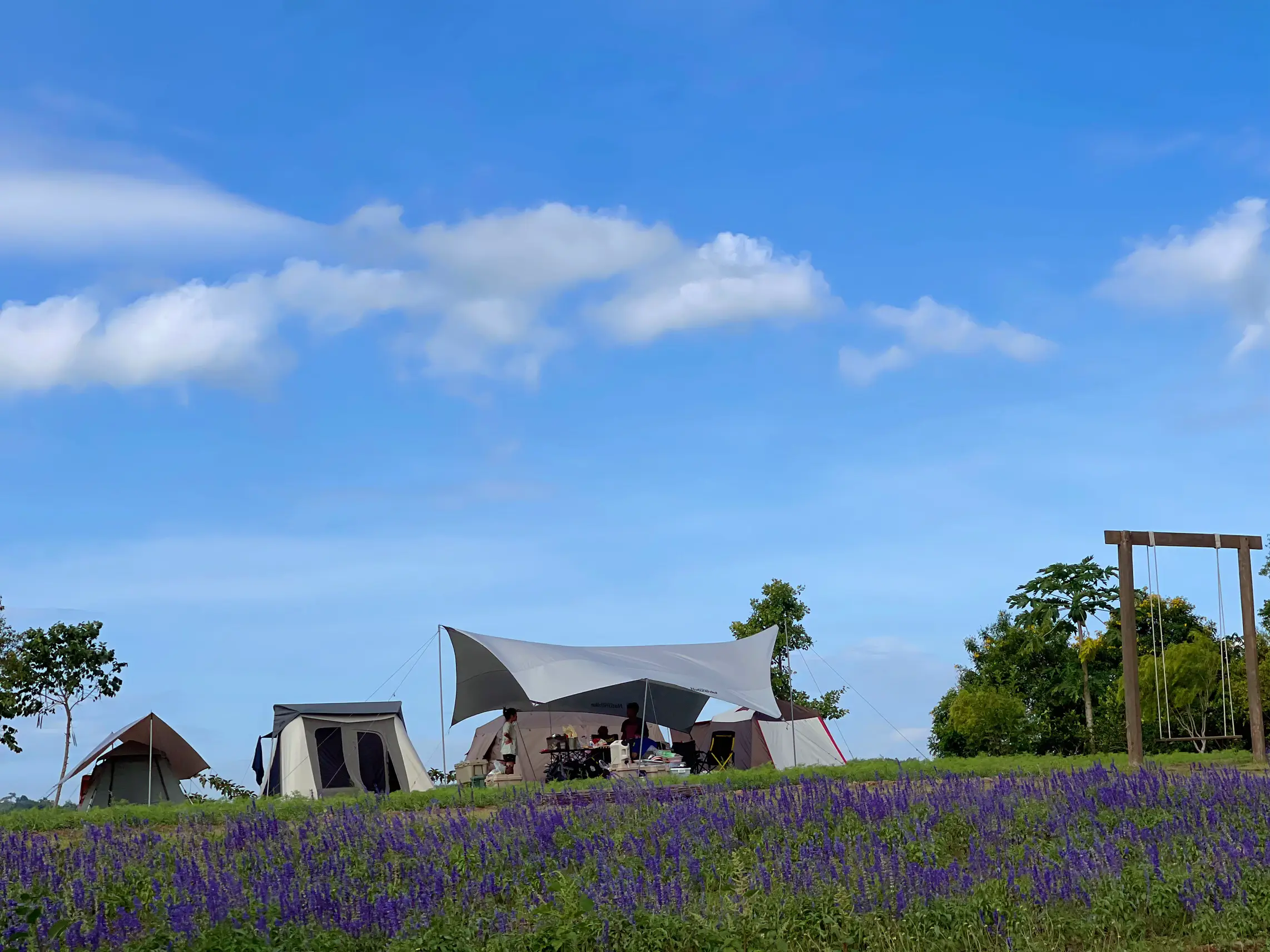 🏕️ ลานกางเต๊นท์..วังน้ำเขียว “ Route 3060 “ | แกลเลอรีที่โพสต์โดย สิริชอบเที่ยว | Lemon8