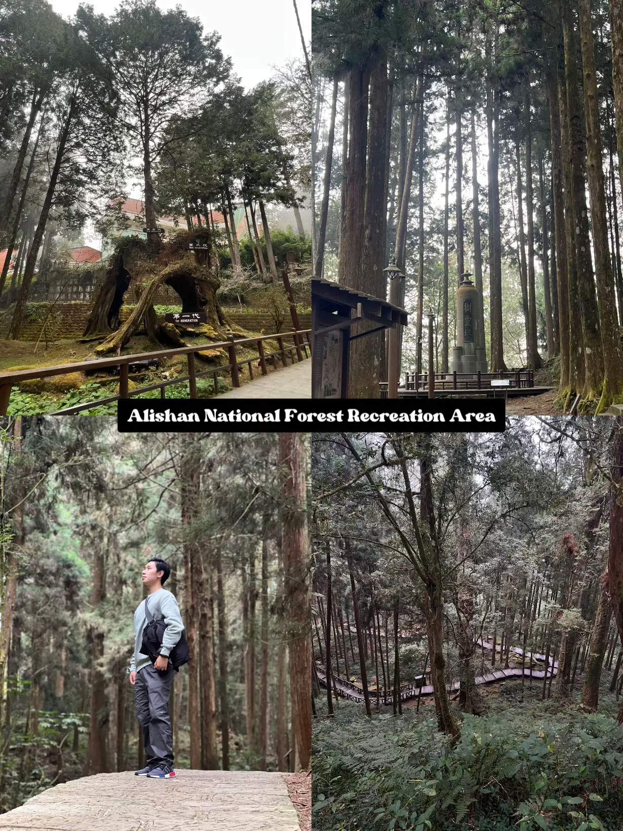 🏠We stayed at a BnB an hour away from Alishan | แกลเลอรีที่โพสต์โดย Seri | Lemon8