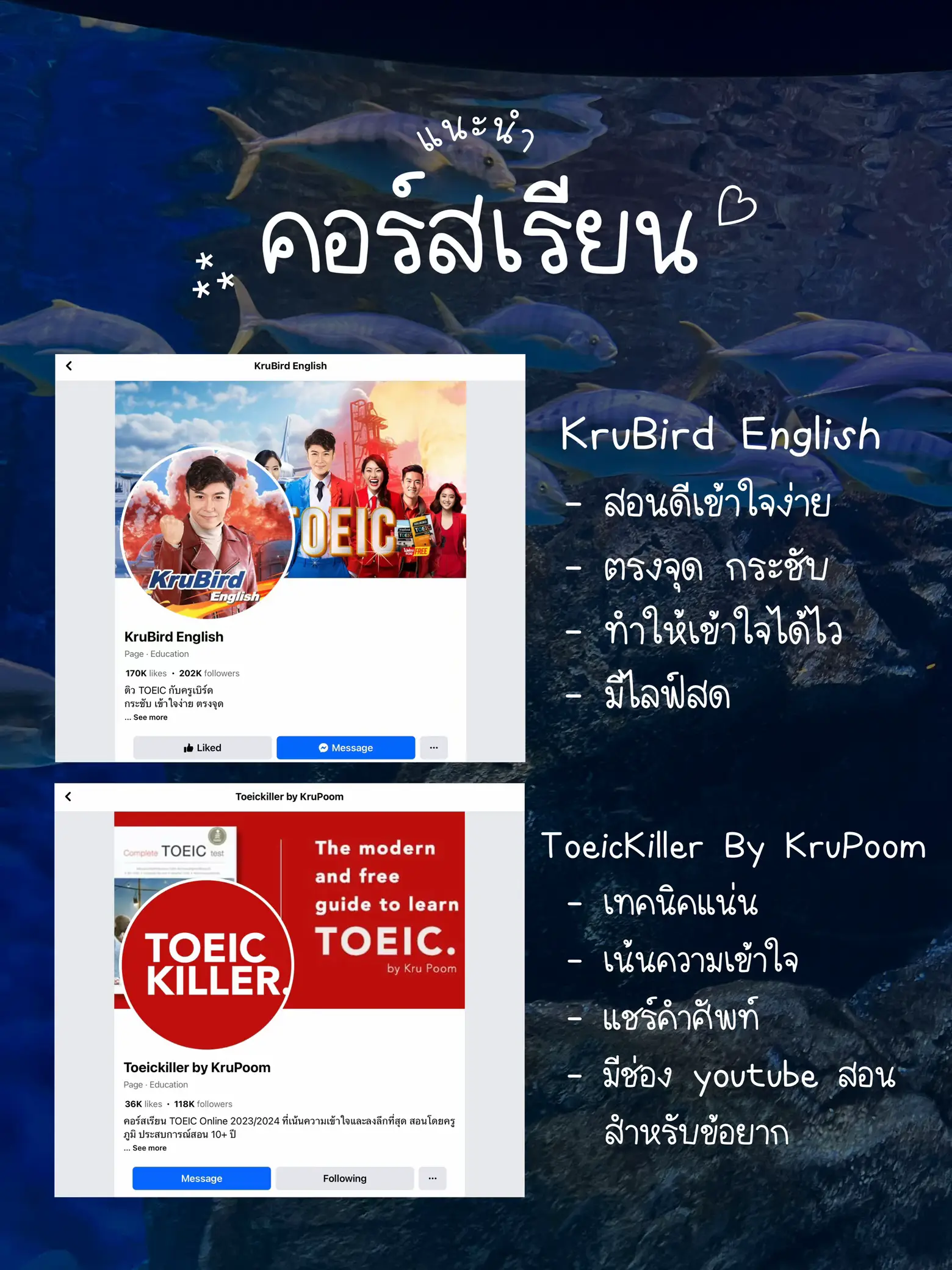 แชร์ทริค สอบ Toeic ครั้งแรกได้ 700 ! Ver.คนเลิกงานมืด | แกลเลอรีที่โพสต์โดย ImnotEye ·͜·♡ | Lemon8