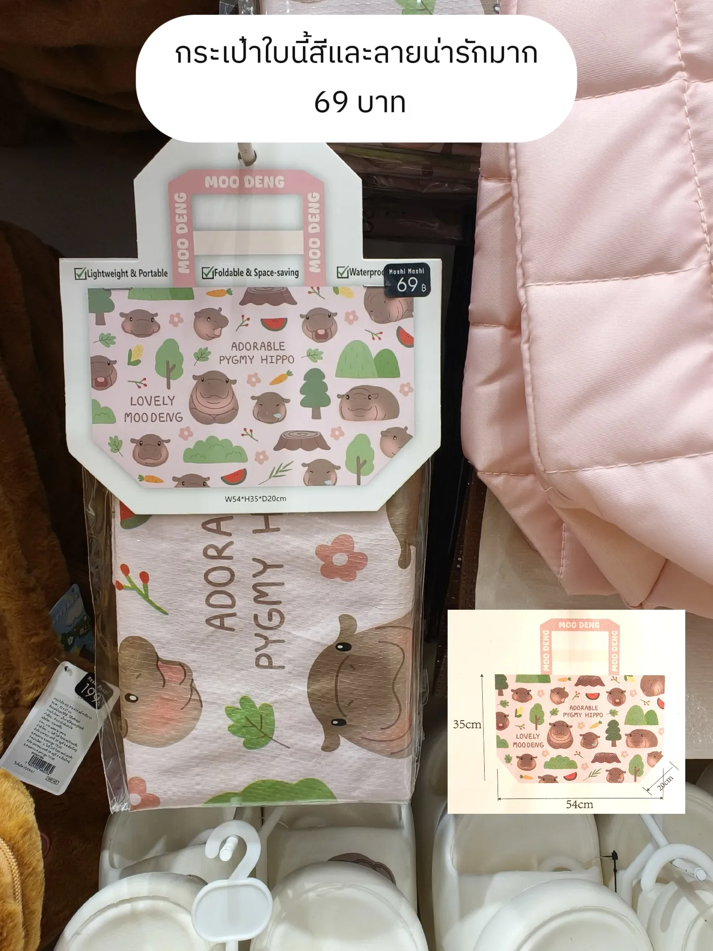 Lovely Moodeng @Moshi Moshi | แกลเลอรีที่โพสต์โดย Waris Story | Lemon8