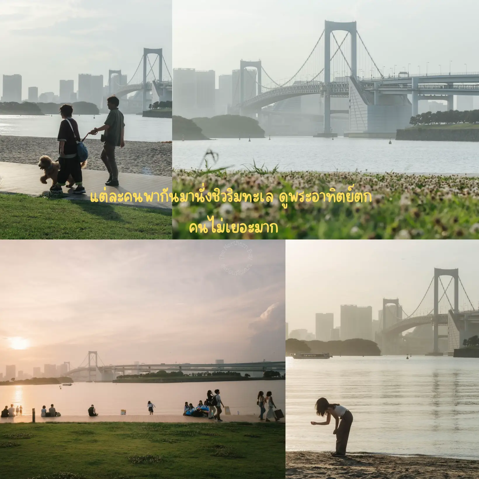 นั่งดูพระอาทิตย์ตกใกล้โตเกียว ที่ ‘odaiba’ | แกลเลอรีที่โพสต์โดย Mood Mod.Wut | Lemon8