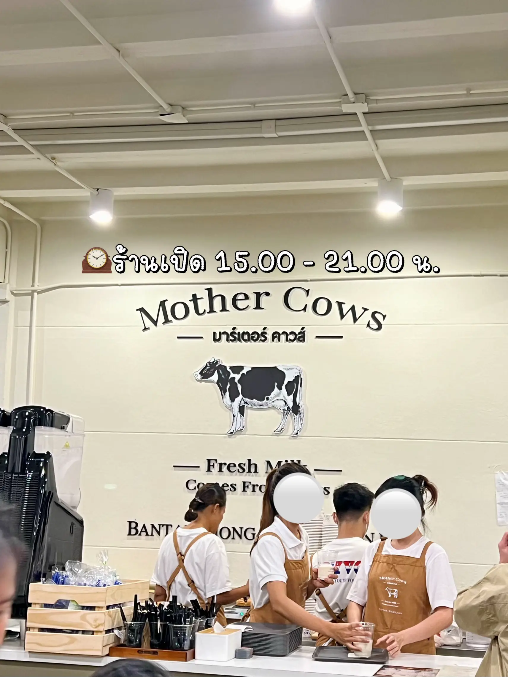 Mother Cows 🐄 ร้านดังจากหาดใหญ่ บุกบรรทัดทอง 💥 | แกลเลอรีที่โพสต์โดย ...