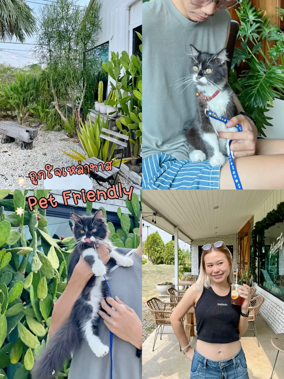 เหล่าทาสห้ามพลาด คาเฟ่ Pet Friendly @สระบุรี | แกลเลอรีที่โพสต์โดย Puinoon | Lemon8