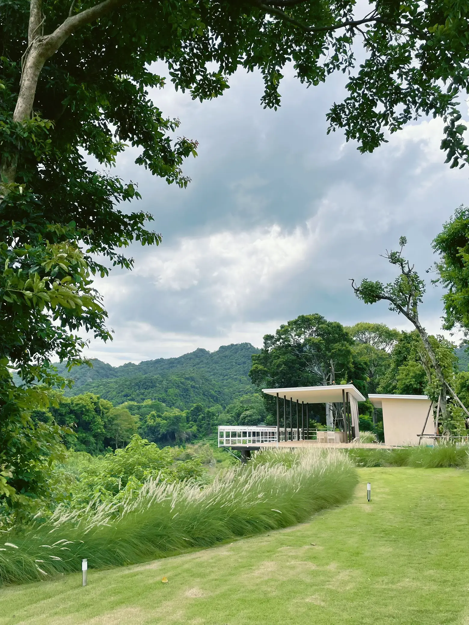 Wildwood Saraburi 🌲 | แกลเลอรีที่โพสต์โดย mxnatnich | Lemon8