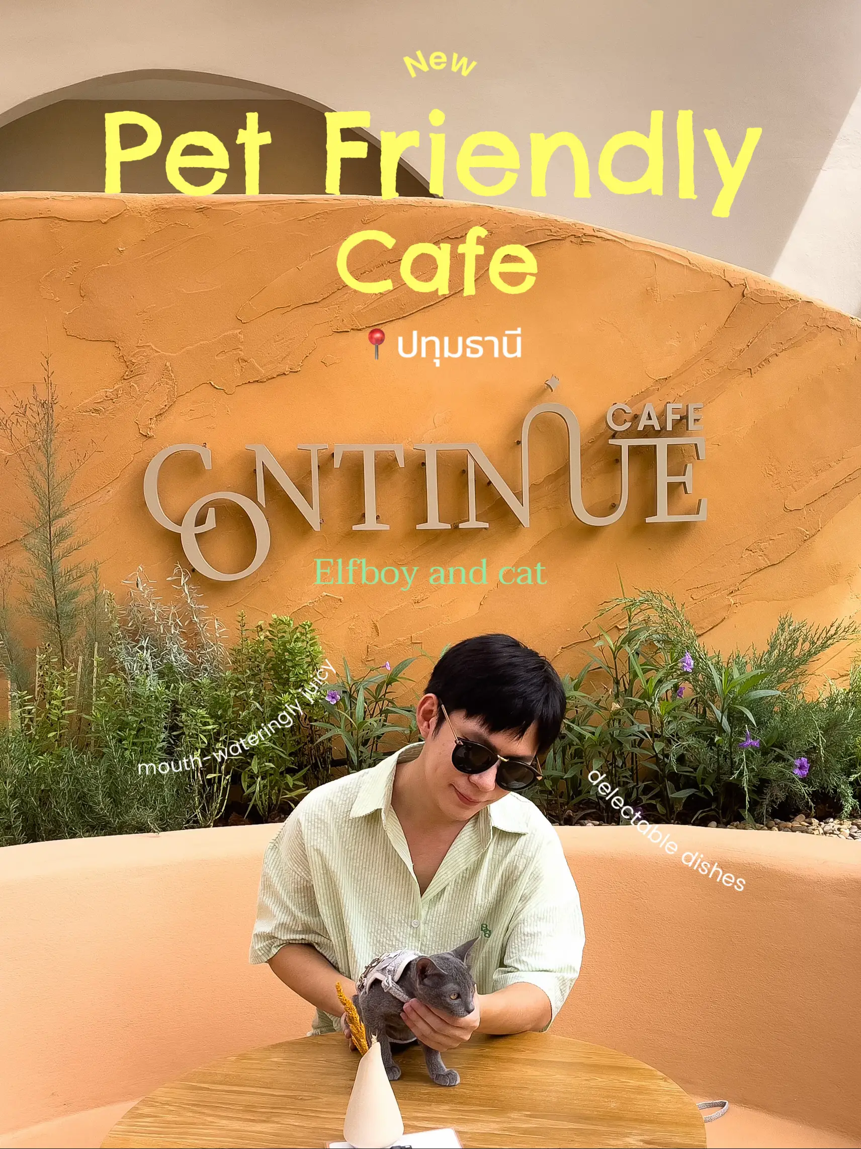 Pet friendly cafe - ปทุมธานี | แกลเลอรีที่โพสต์โดย Chuanphot Thinp | Lemon8