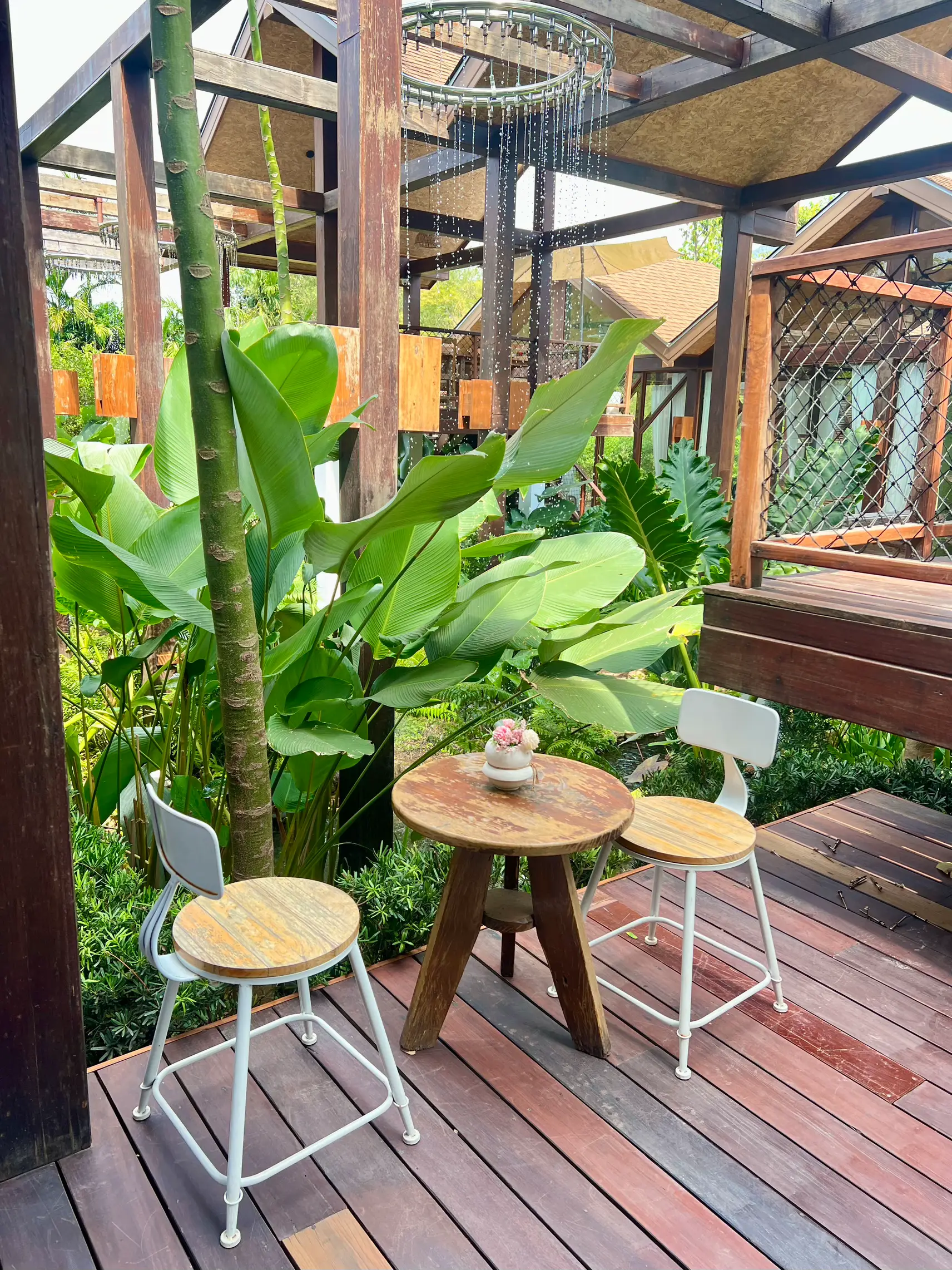 มนตราคาเฟ่ by ไร่วังบอน นครนายก | แกลเลอรีที่โพสต์โดย Ardy ️ | Lemon8