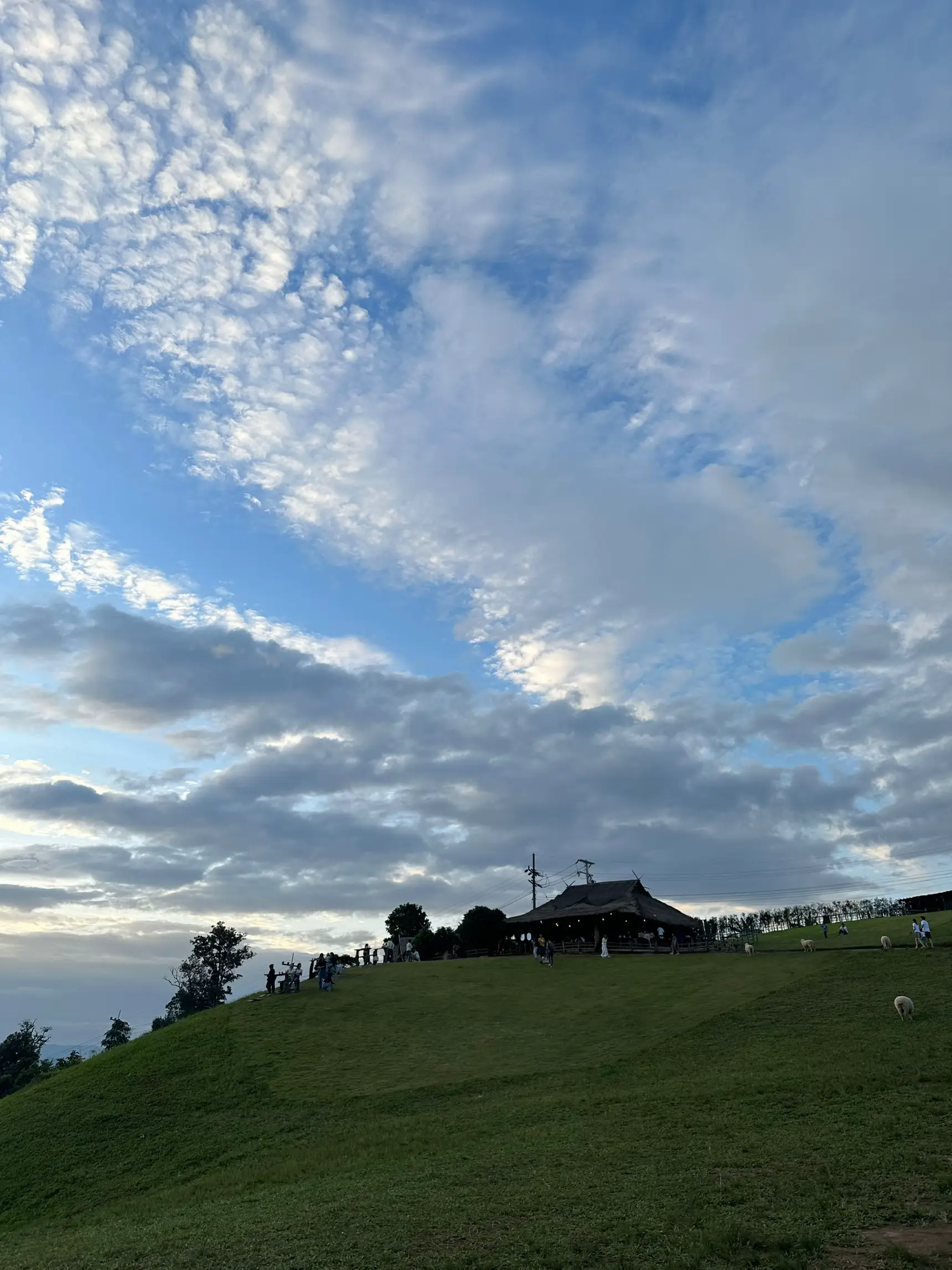 Akha Farmville ,Doi Chang | แกลเลอรีที่โพสต์โดย Kru gee | Lemon8