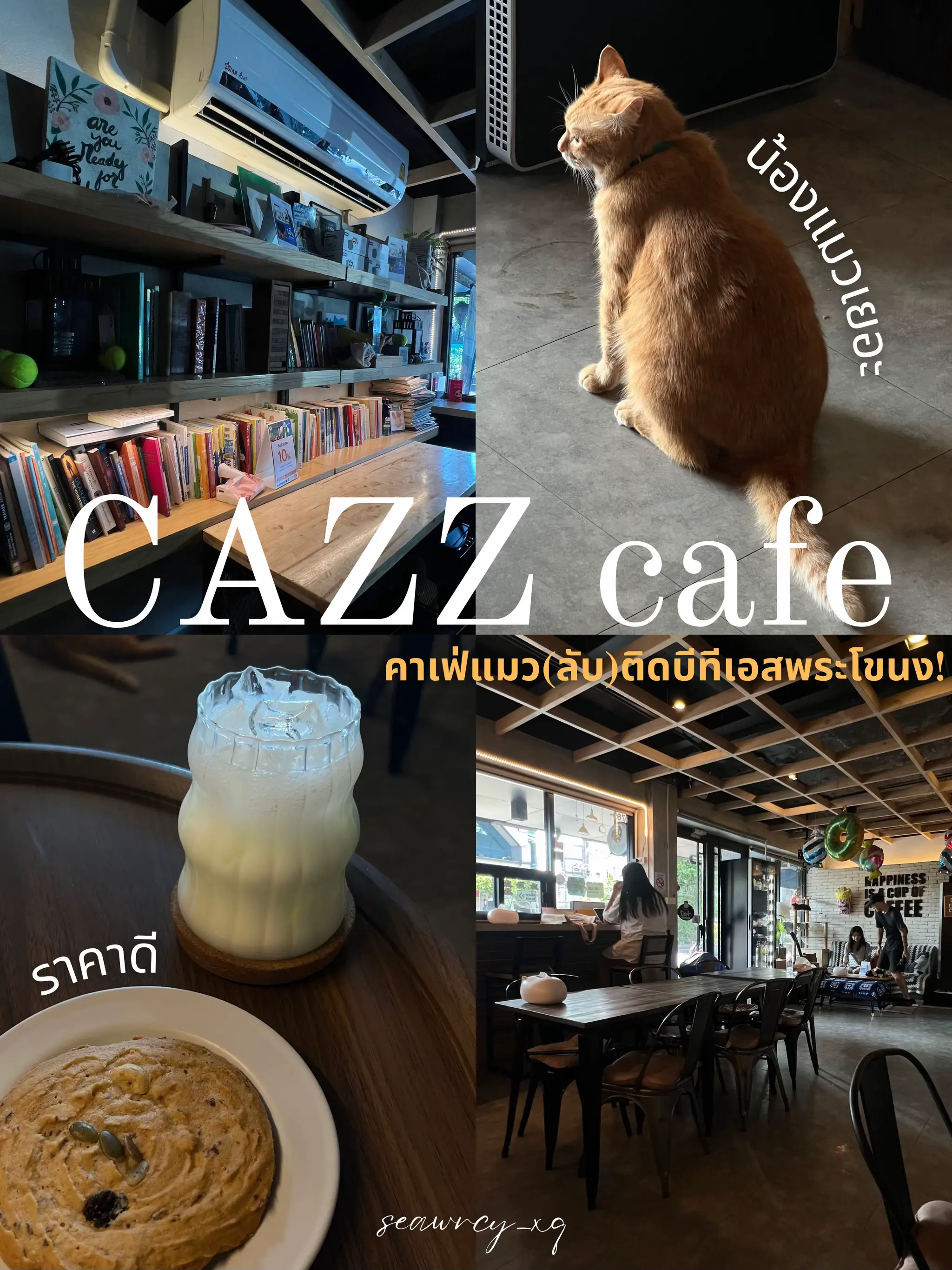 CAZZ cafe คาเฟ่แมว(ลับ)ติดบีทีเอสพระโขนง! 🐈 | แกลเลอรีที่โพสต์โดย ...