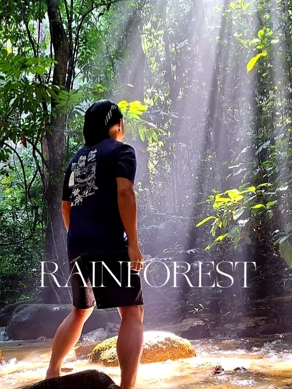 RAINFOREST | Galeri disiarkan oleh 724 ROCKS | Lemon8