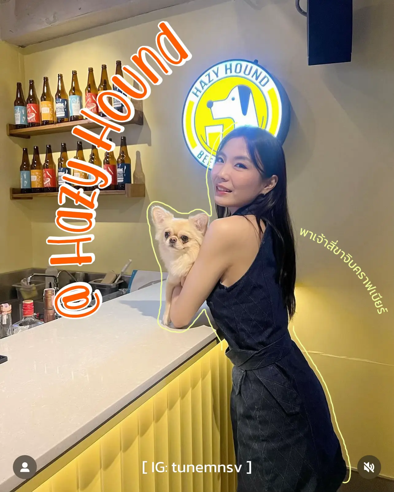 🐶พาน้องหมาจิบคราฟเบียร์🍺 Hazy Hound | แกลเลอรีที่โพสต์โดย tunemnsv | Lemon8