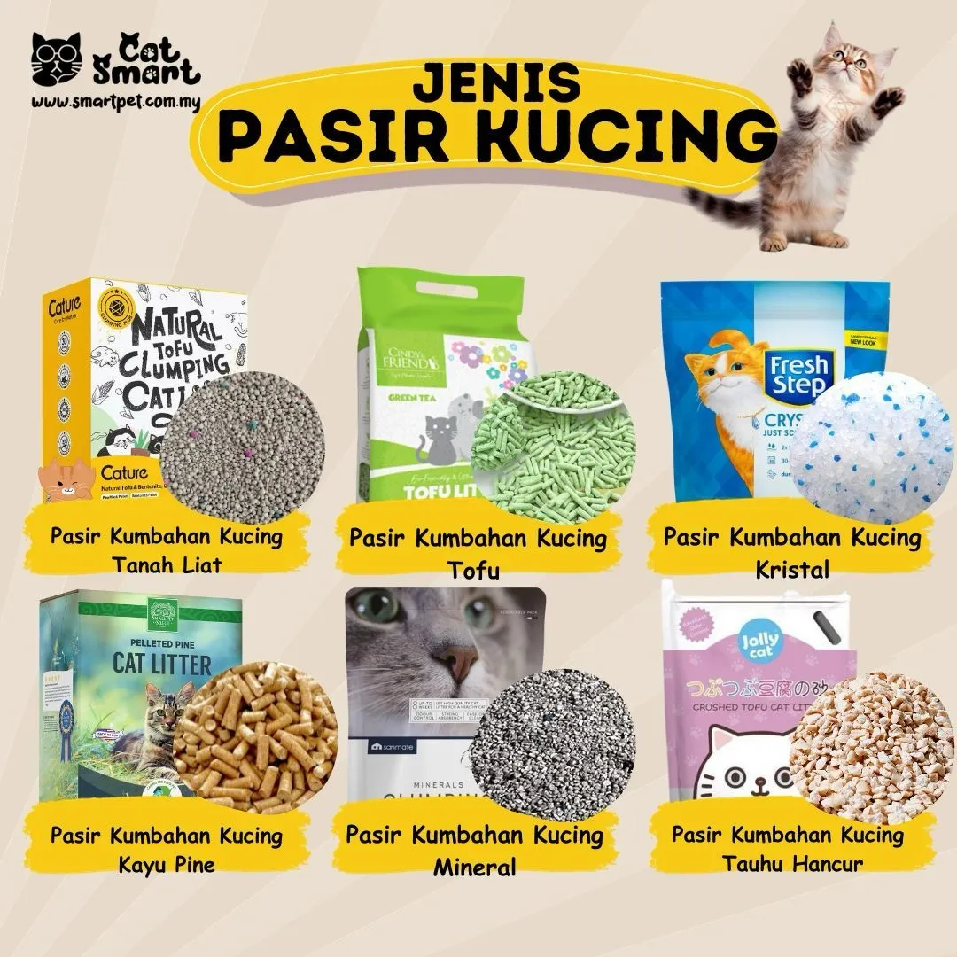 Jenis-jenis #PasirKucing🐈 | Galeri disiarkan oleh SmartCat | Lemon8