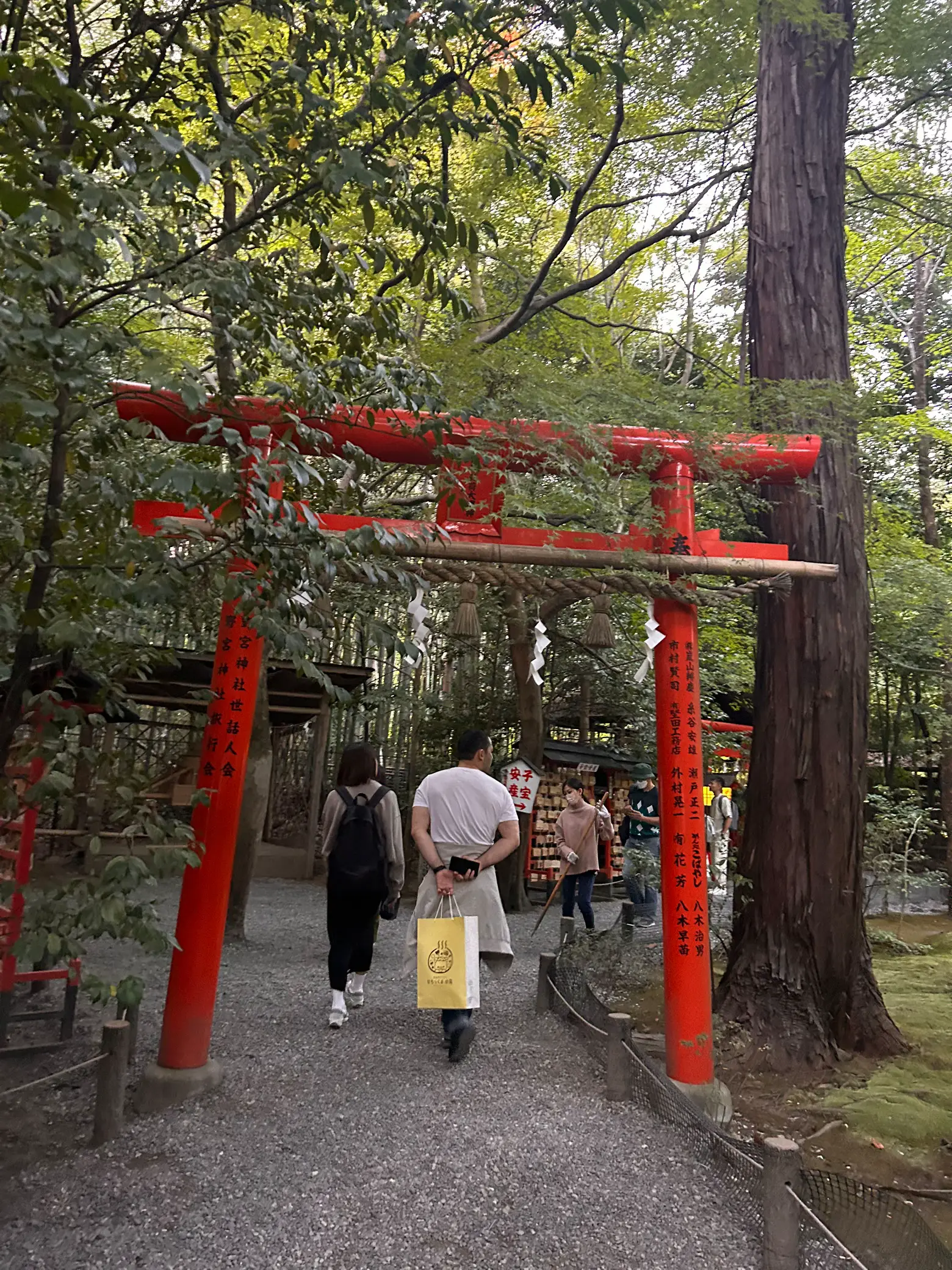 Arashiyama2023 oct. | แกลเลอรีที่โพสต์โดย Im jessie | Lemon8