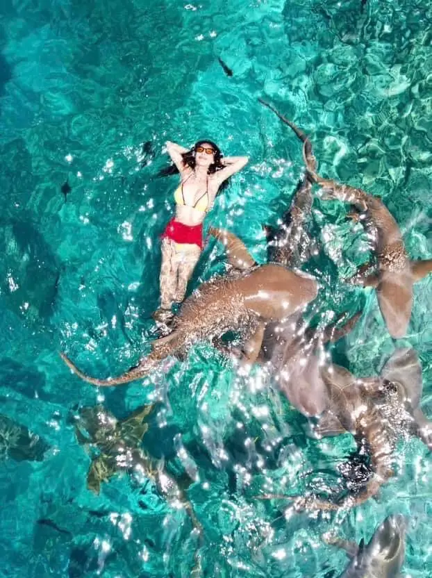 ซัมเมอร์เที่ยวมัลดีฟส์😍😍 | แกลเลอรีที่โพสต์โดย Bunmee | Lemon8