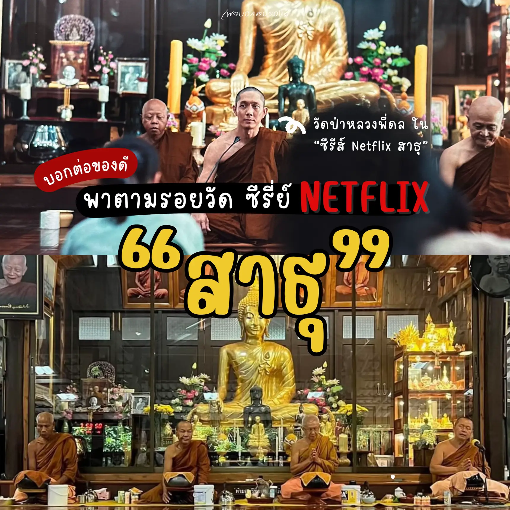 พาตามรอยซีรี่ย์ #สาธุnetflix 🎬 วัดป่าของหลวงพี่ดล ⭐️ | แกลเลอรีที่โพสต์โดย Gnapq ̈ | Lemon8