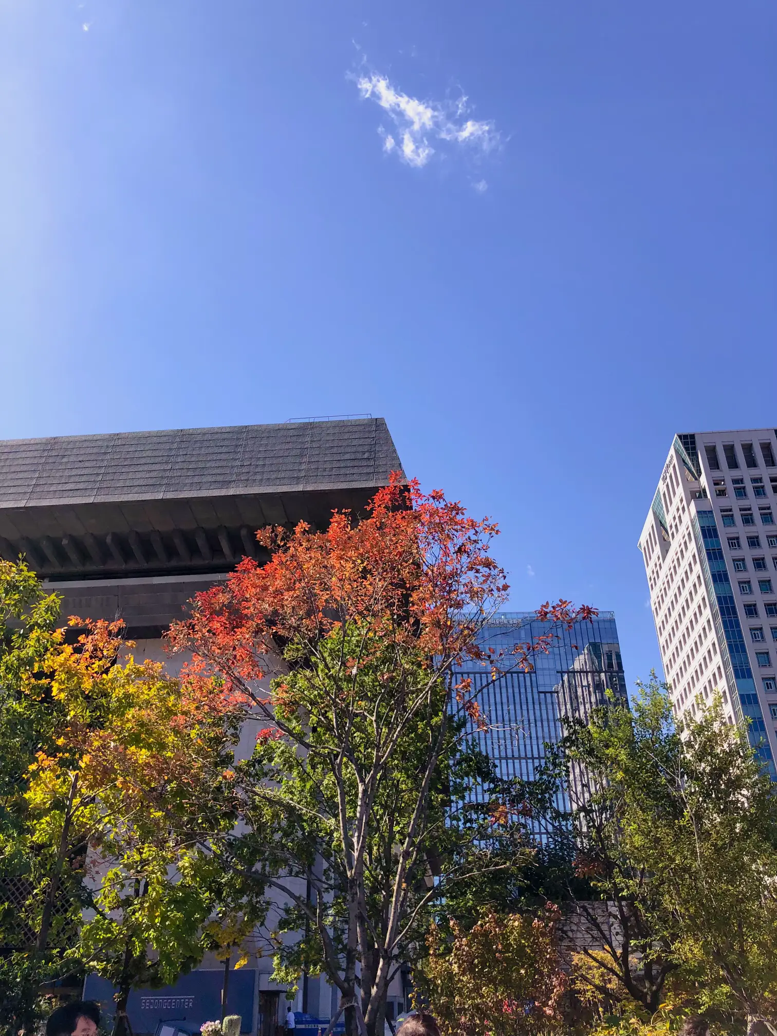 แจกแพลนเที่ยวเกาหลี 2023 | แกลเลอรีที่โพสต์โดย Patcharee Tiew | Lemon8