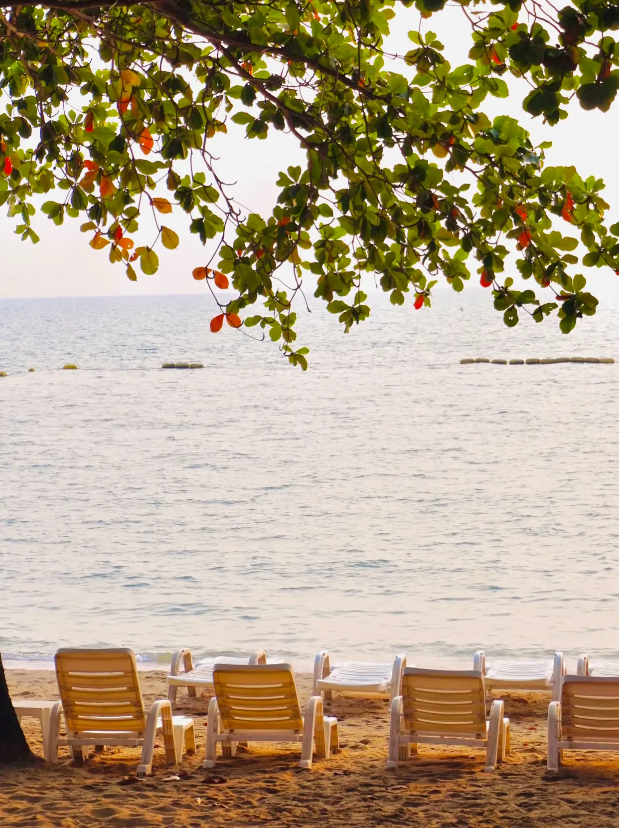 แต่งง่ายมากก กดเซฟไว้ได้เลย ได้ใช้แน่นอน🫶🏻💗 | แกลเลอรีที่โพสต์โดย Siapoxy | Lemon8