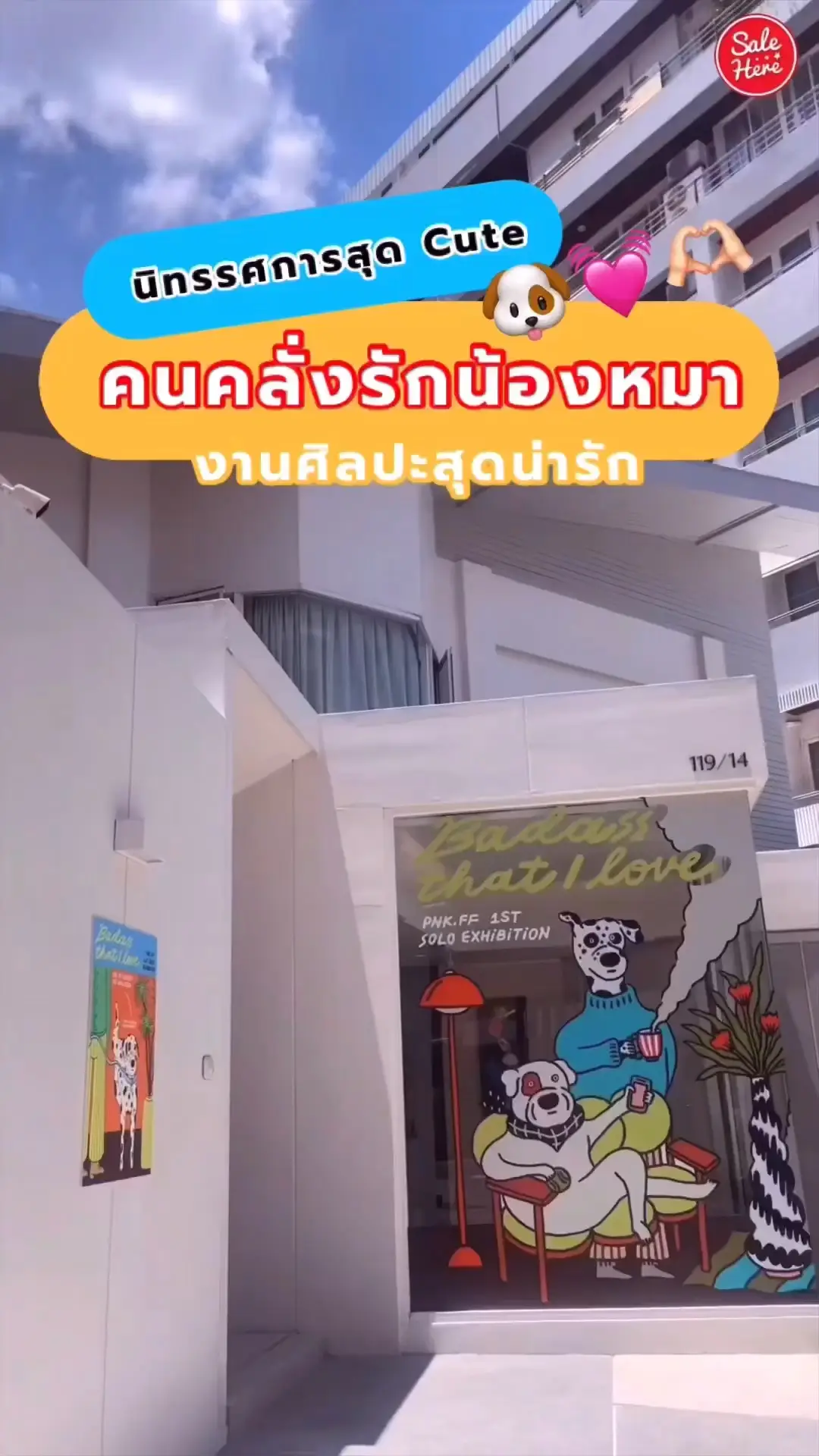 💕Take a look at the dog exhibition that lovers must come! | Video ...