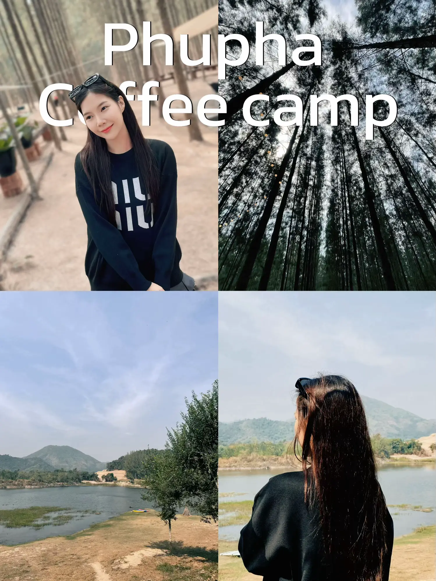 ป่าสน ราชบุรี Phupha Coffee camp🌲🪵 | แกลเลอรีที่โพสต์โดย 🦋น้ อ ง เ บ ล🌈 | Lemon8