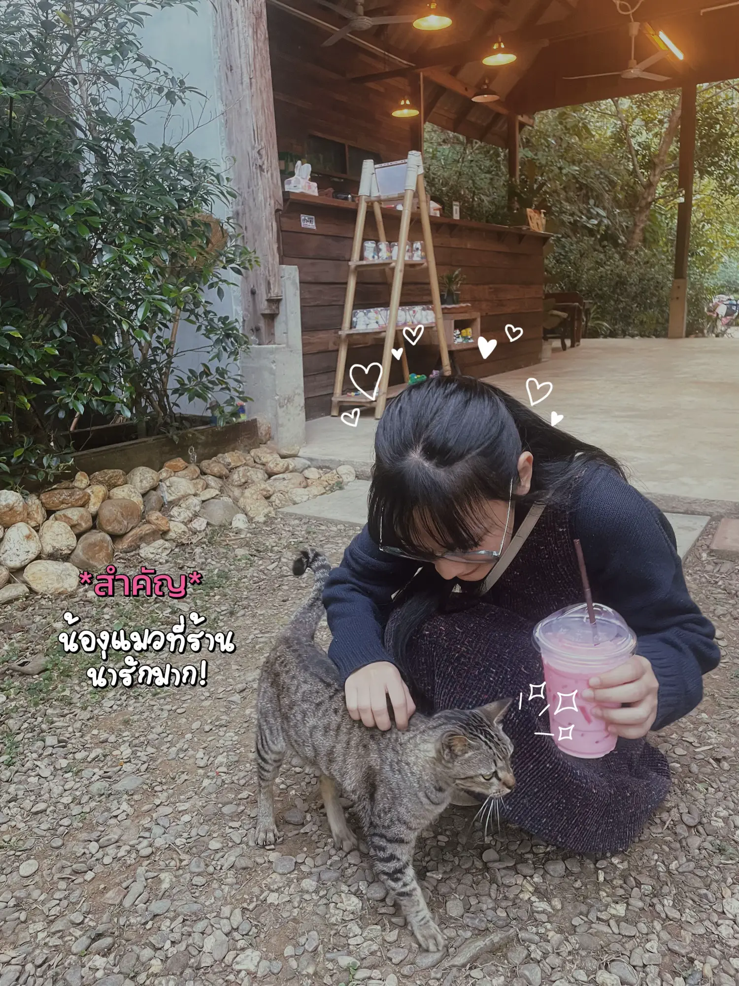 Good Farm สวนผักกูดฮิมม่อน คาเฟ่น่านลึกลับใจกลางป่า | แกลเลอรีที่โพสต์ ...