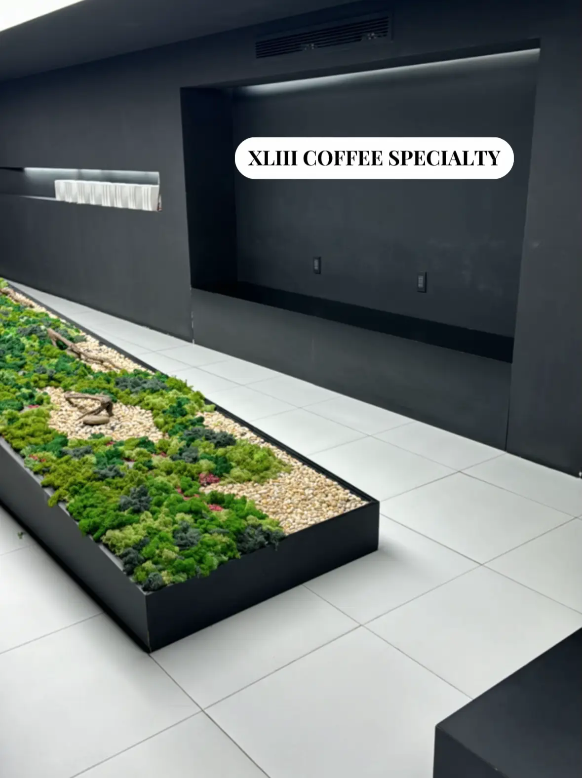 XLIII COFFEE SPECIALTY | แกลเลอรีที่โพสต์โดย daffodyu | Lemon8