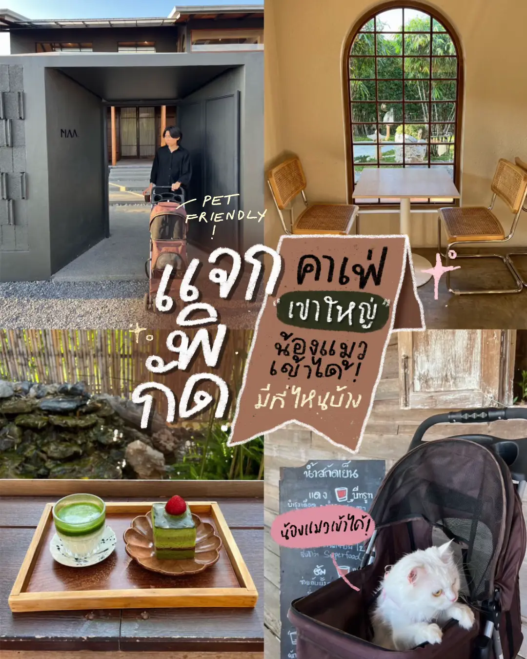 พาเจ้าเหมียว เที่ยวคาเฟ่ Pet friendly สระบุรี | แกลเลอรีที่โพสต์โดย Magazine | Lemon8