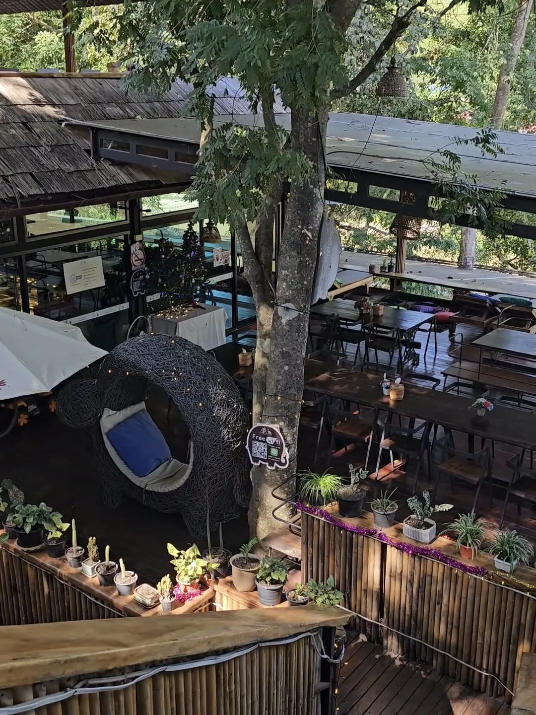 JUNGLE DE CAFE สาขากึ๊ดช้าง คาเฟ่ติดริมน้ำ (CNX) 🏞 | แกลเลอรีที่โพสต์ ...