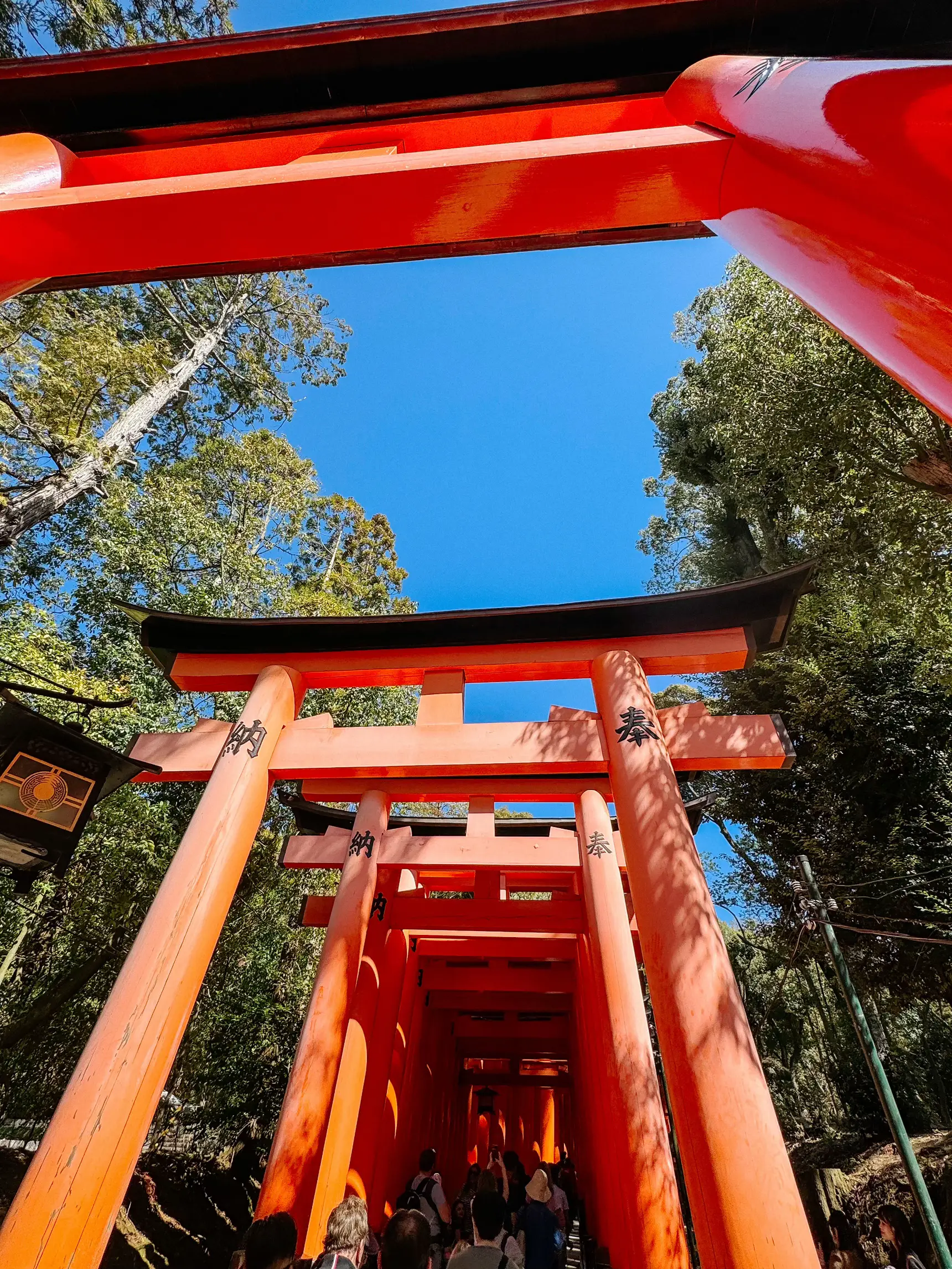 Fushimi Inari หรือ วัดเสาแดง | แกลเลอรีที่โพสต์โดย Chewlu | Lemon8