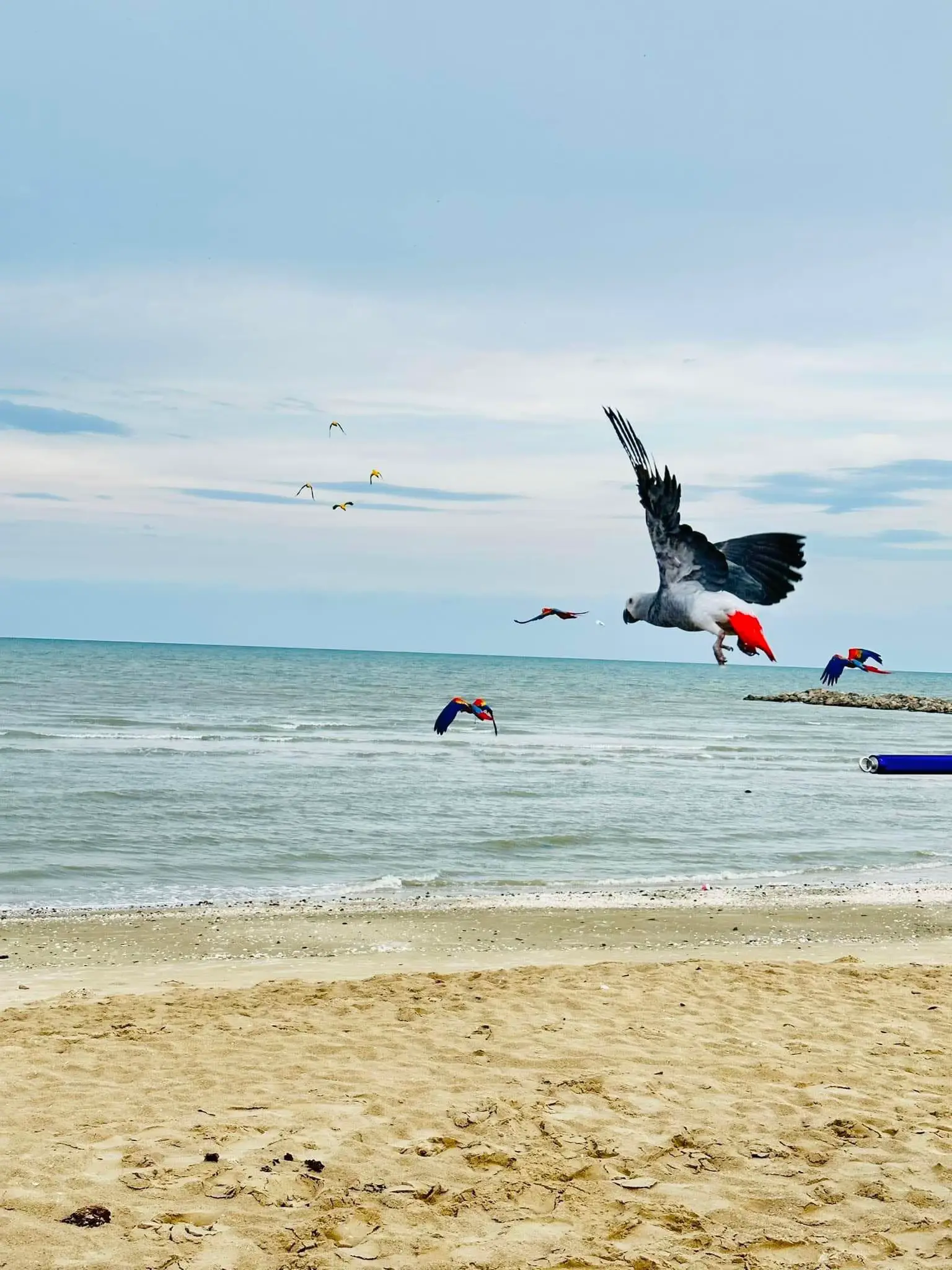 เพื่อนร่วมบินทริปนี้ | แกลเลอรีที่โพสต์โดย Freelife/time | Lemon8