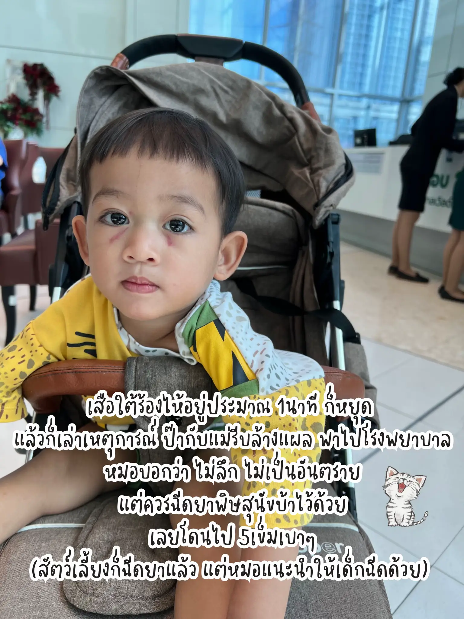 บาดแผลจากแมวเหมียว~ แกลเลอรีที่โพสต์โดย 🐯เจ้าเสือใต้🐯 Lemon8