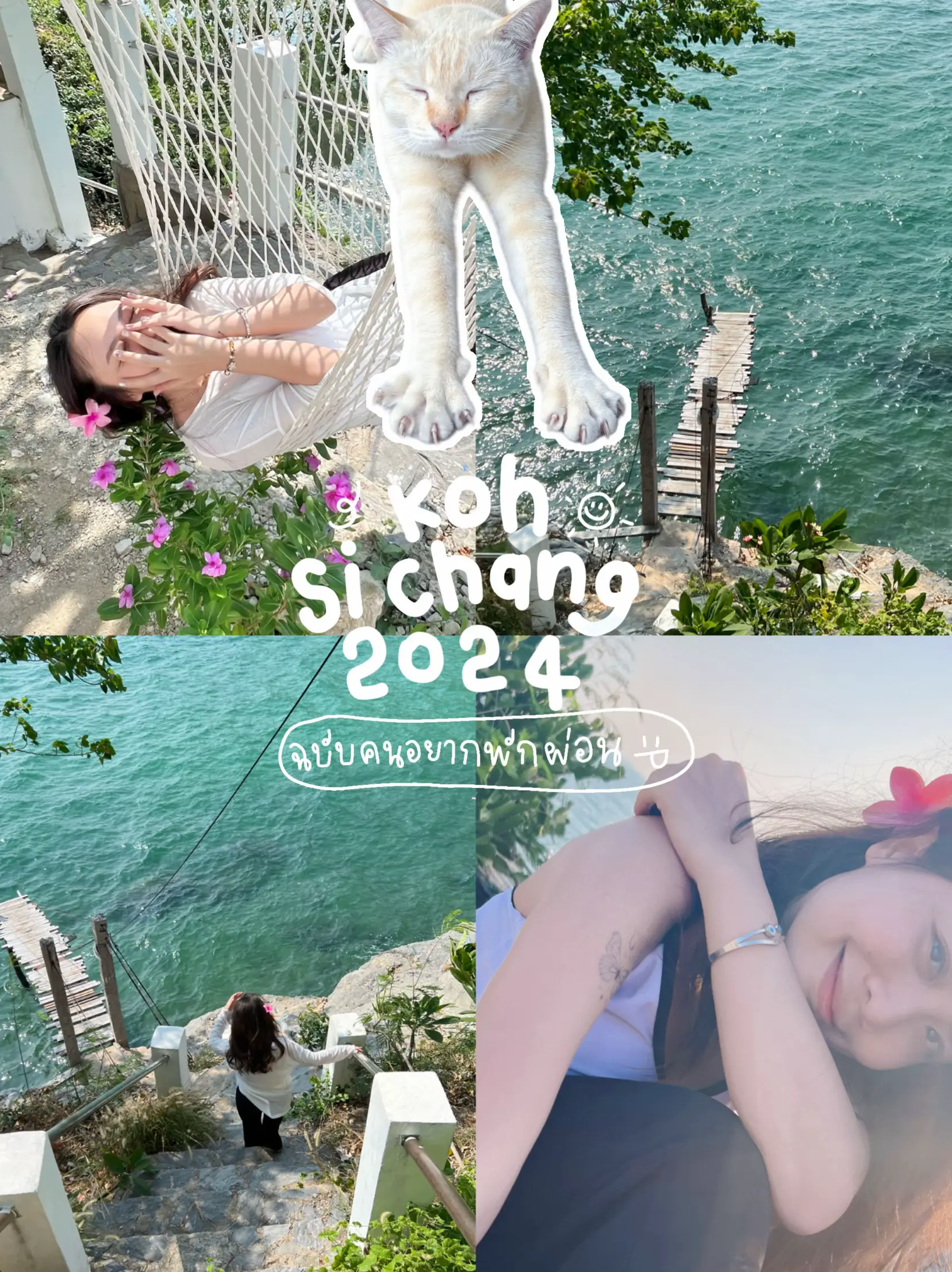 🌞🥥ติดเกาะสีชัง ฉบับคนอยากพักผ่อน 🌊🌴 | แกลเลอรีที่โพสต์โดย fei ̈ | Lemon8