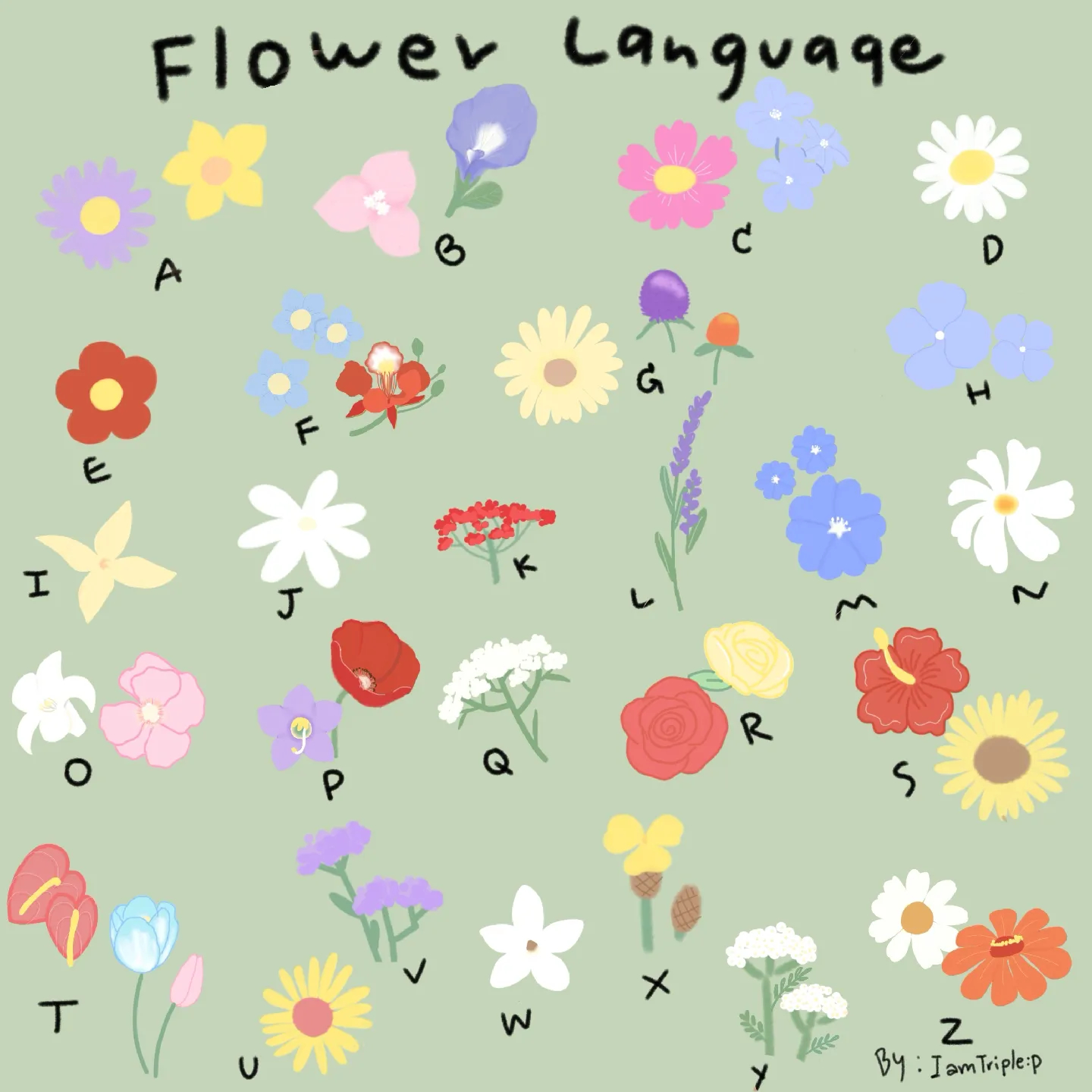 ความหมายทิวลิปสีฟ้า - การค้นหาใน Lemon8