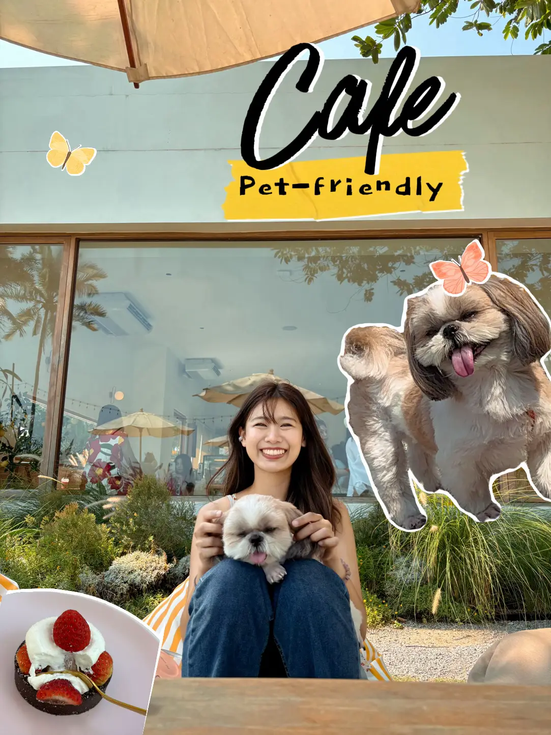 Cafe Pet-friendly hun-hin🌼🐶 | แกลเลอรีที่โพสต์โดย Aom Kedsaree | Lemon8