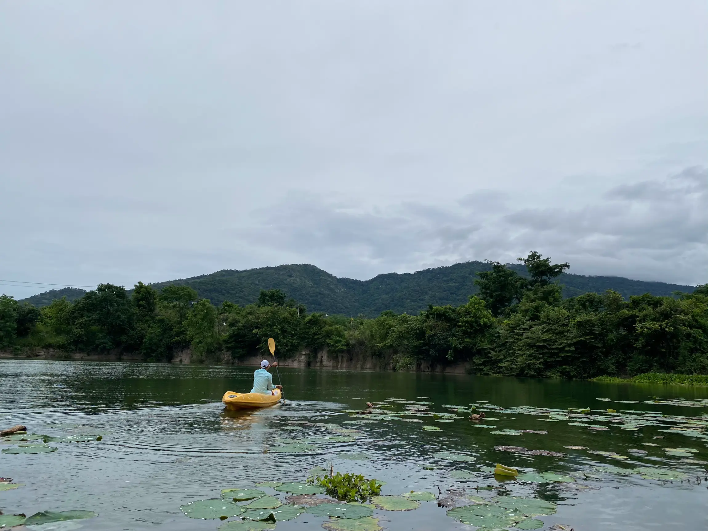 TEA CHE‘RIE at Bianca moment นั่งจิบชากลางเขาที่ชลบุรี | แกลเลอรีที่ ...