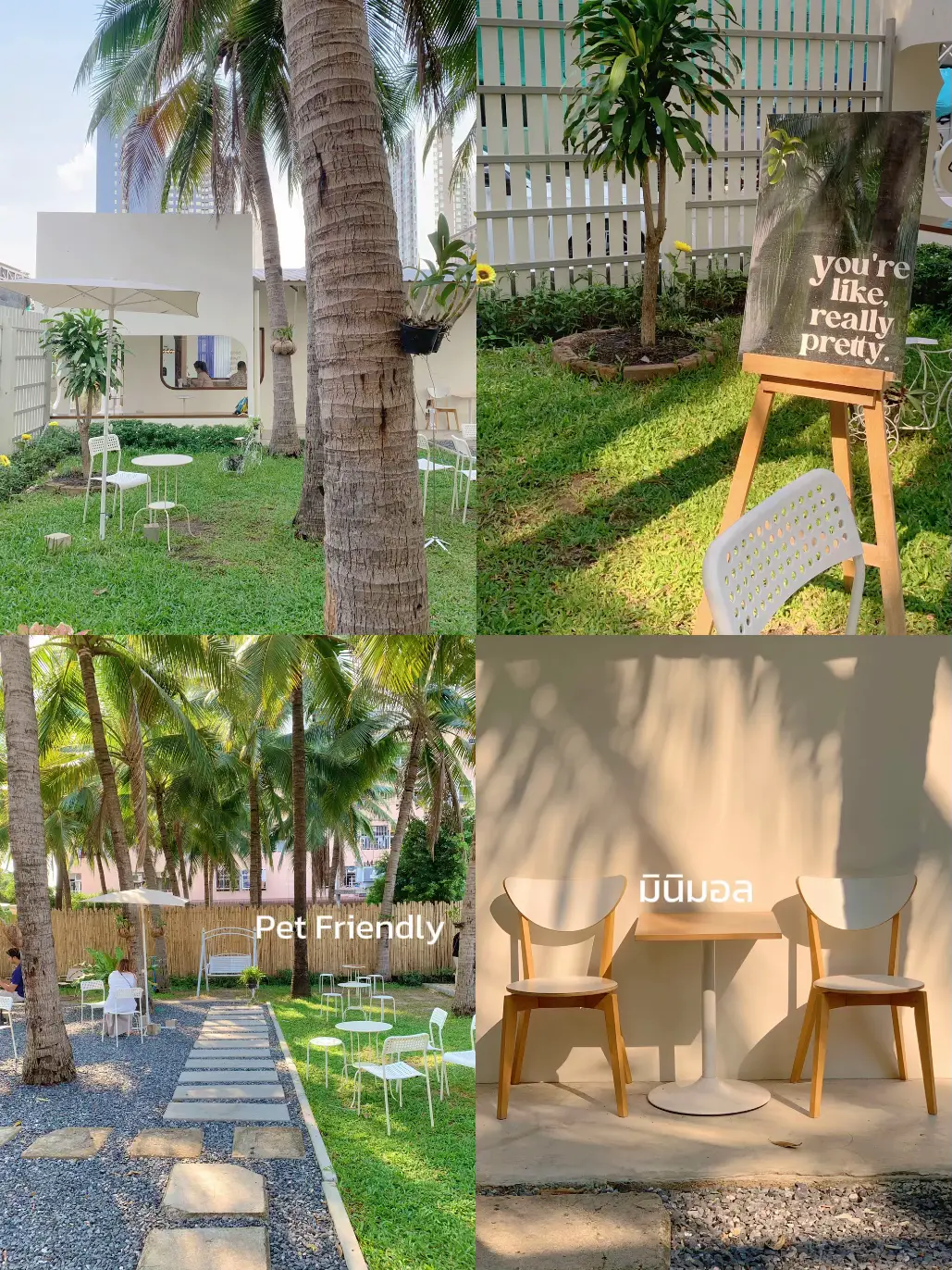 The COCO - Cafe & Homemade Bakeryคาเฟ่เล็กในดงมะพร้าว | แกลเลอรีที่ ...