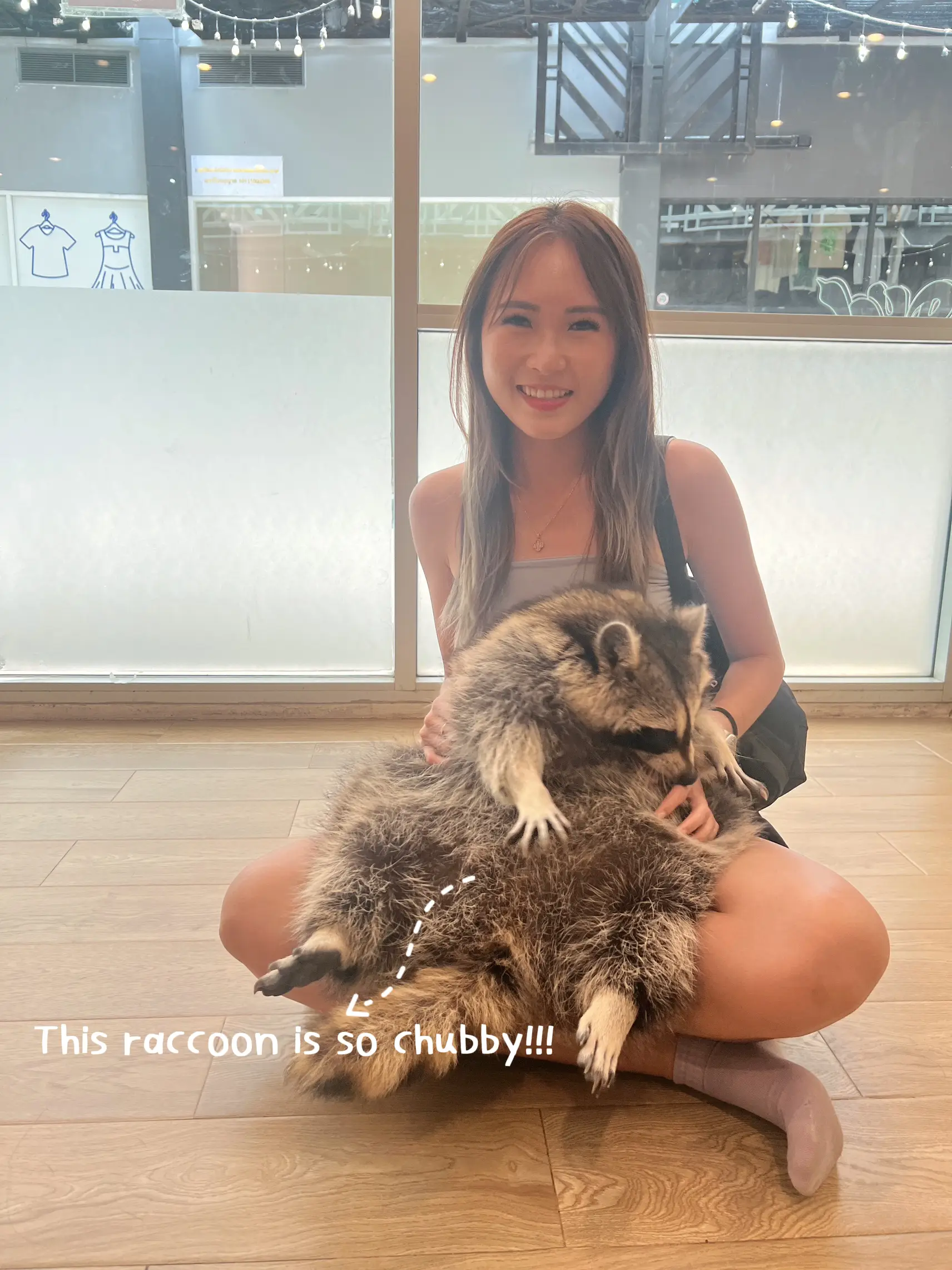 best capybara cafe in Bangkok - Lemon8 Search