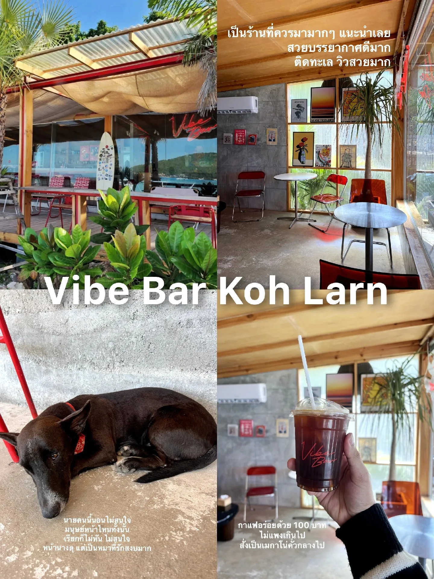 📌 เกาะล้าน 2 วัน 1 คืน ฉบับ 2567 มีอะไรบ้าง ? | แกลเลอรีที่โพสต์โดย zobi | Lemon8