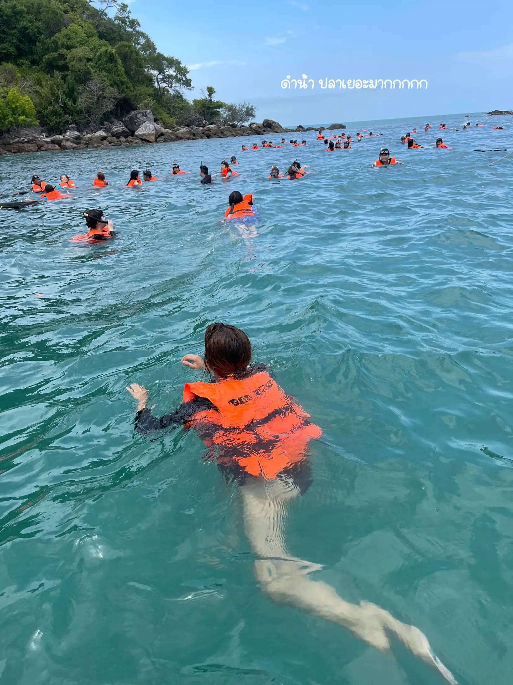 สเม็ดซีไซด์ - การค้นหาใน Lemon8