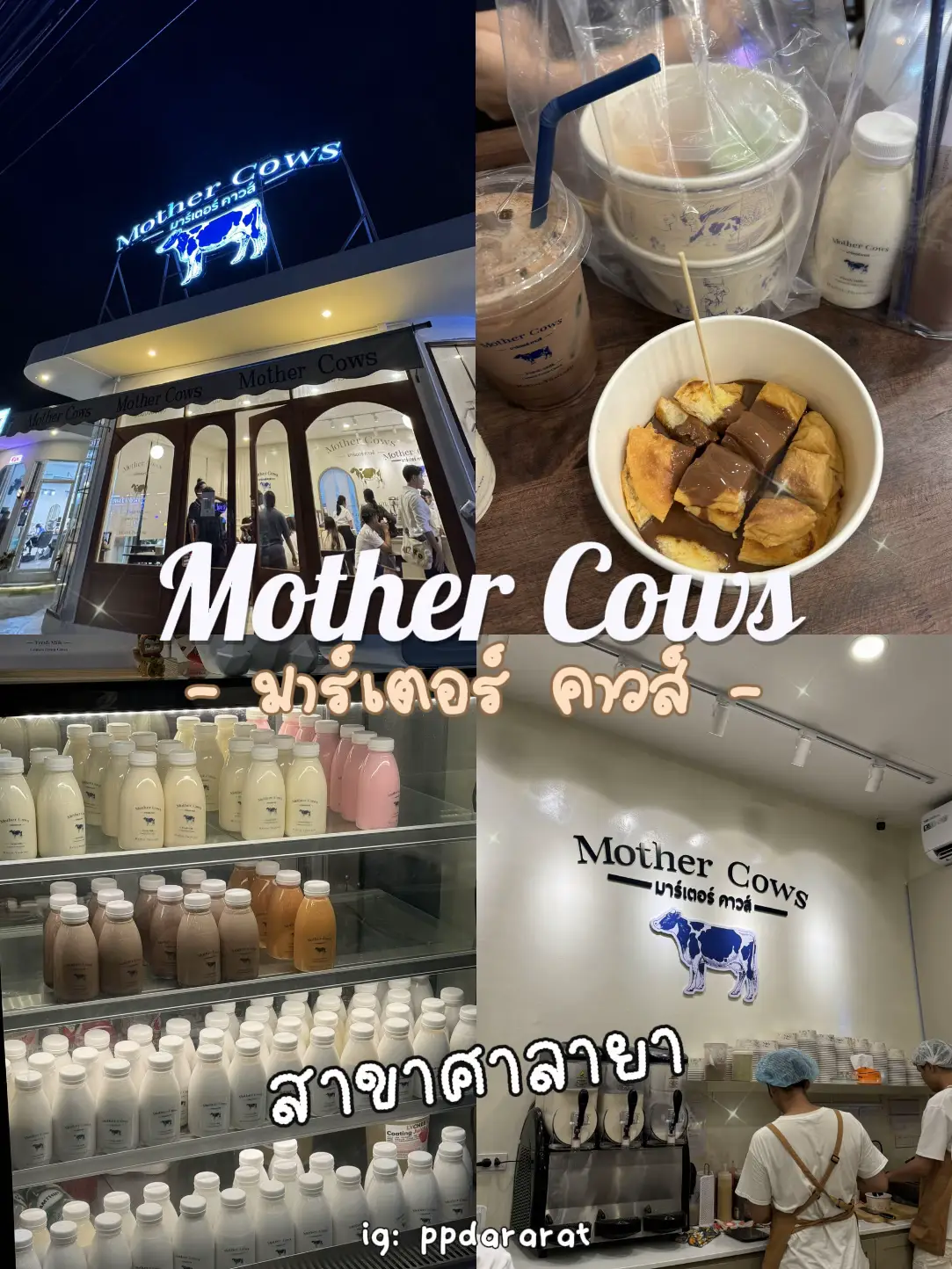 พิกัด Mother Cows ร้านดัง สาขาศาลายา🍞🥛 | แกลเลอรีที่โพสต์โดย ppdararat ꔛ 🦕 | Lemon8