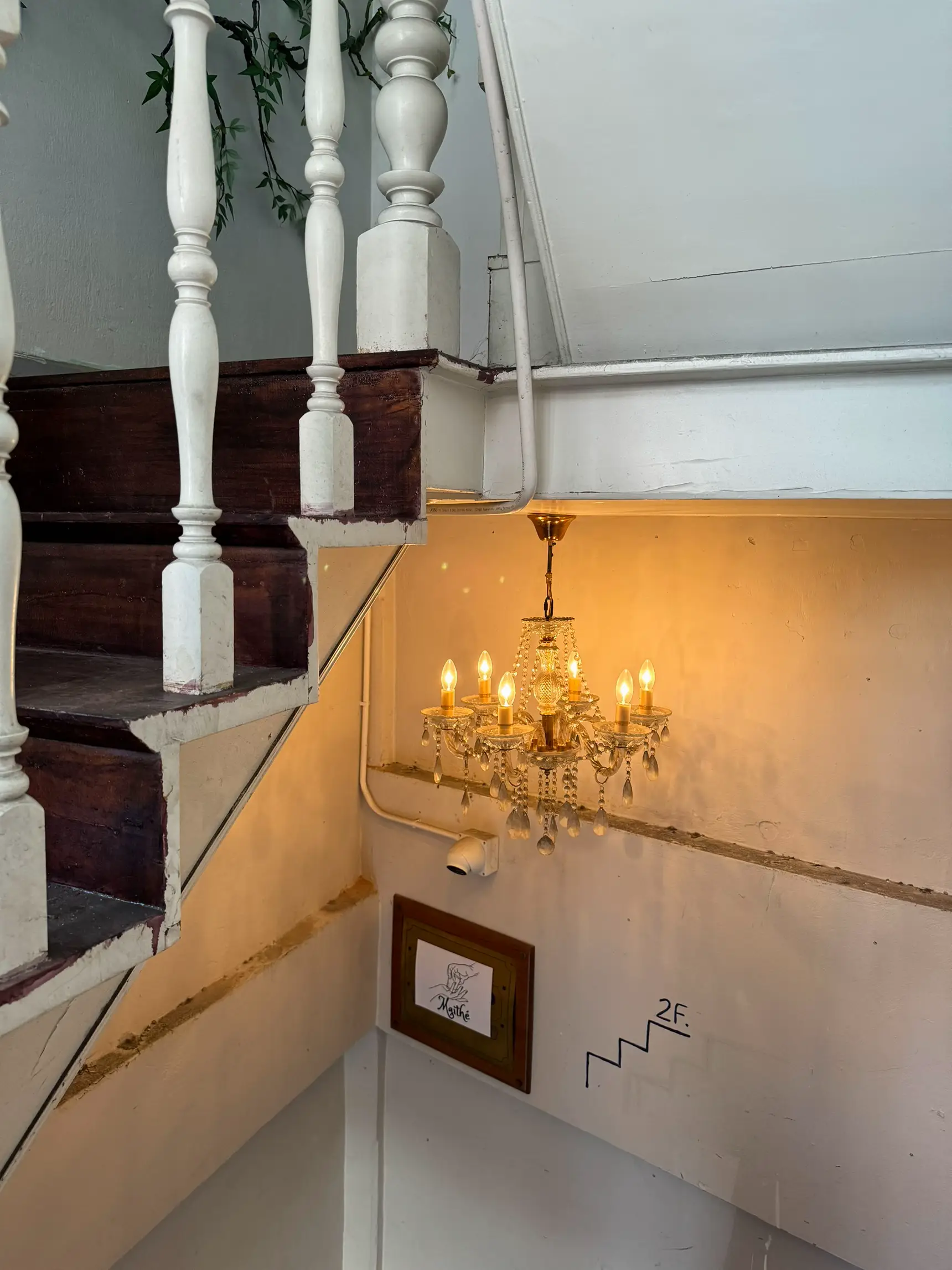 Maithe☕️ แยกไมรตรีจิตต์ | แกลเลอรีที่โพสต์โดย lemonJam🍋 | Lemon8