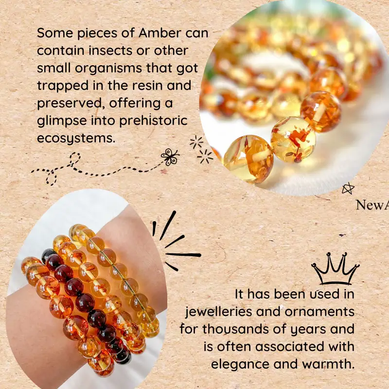 Amber! And how well do you know about it? | Gallery posted by NewAge ...