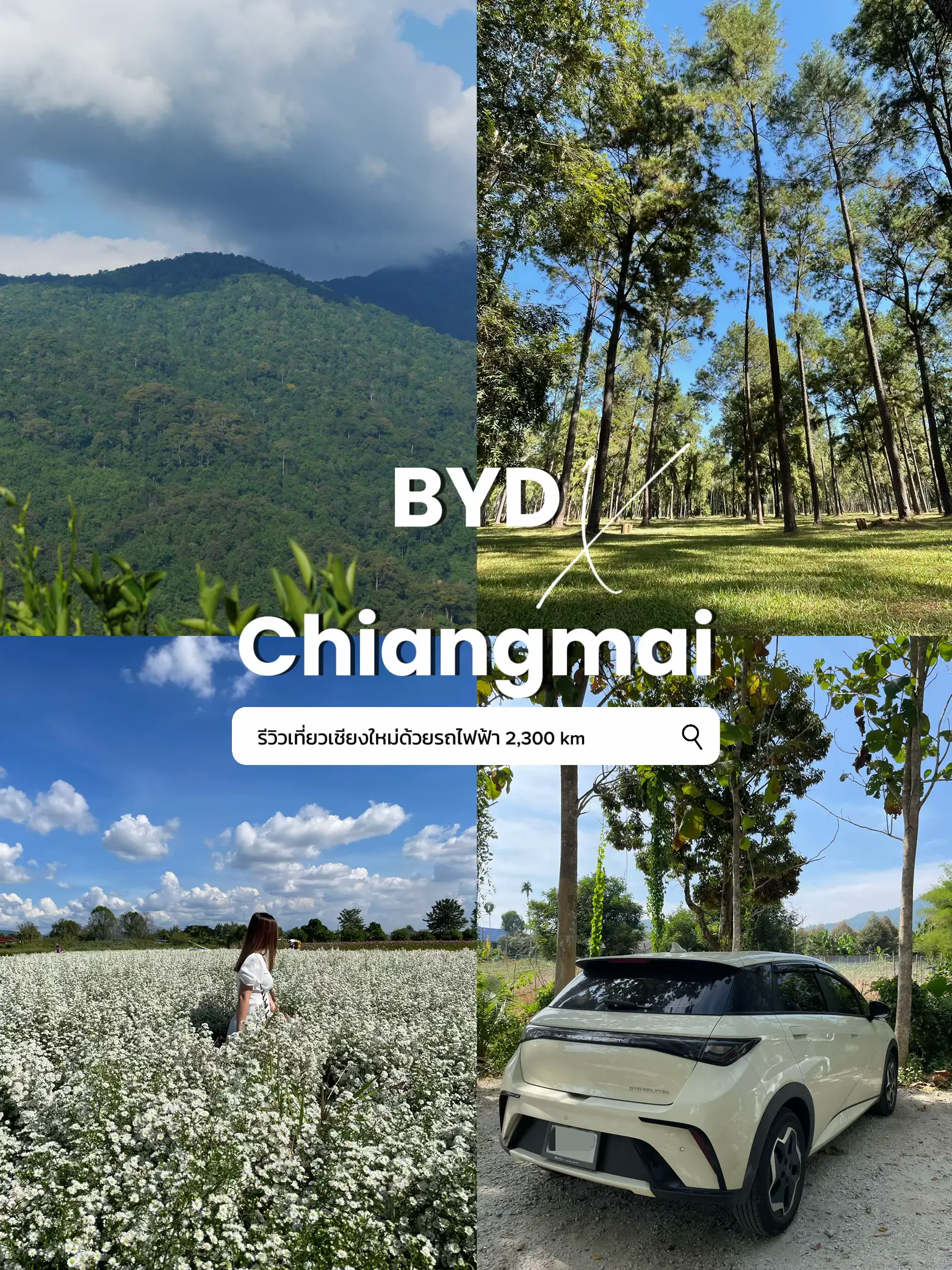 เที่ยวเชียงใหม่ด้วยรถไฟฟ้า 2,300 km | แกลเลอรีที่โพสต์โดย lllkkk | Lemon8