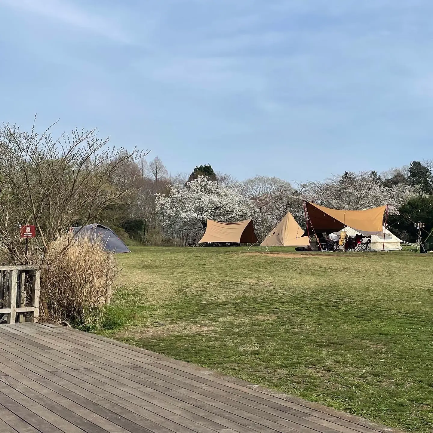 แคมป์ปิ้ง ลับๆ วิวฟูจิ | แกลเลอรีที่โพสต์โดย rawee.roooom | Lemon8