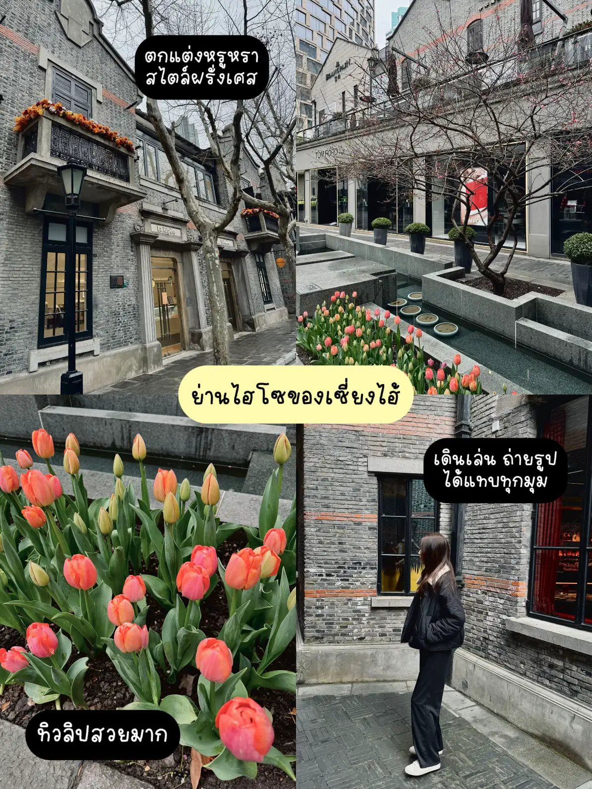 XIN TIAN DI | แกลเลอรีที่โพสต์โดย Narongsak Chump | Lemon8