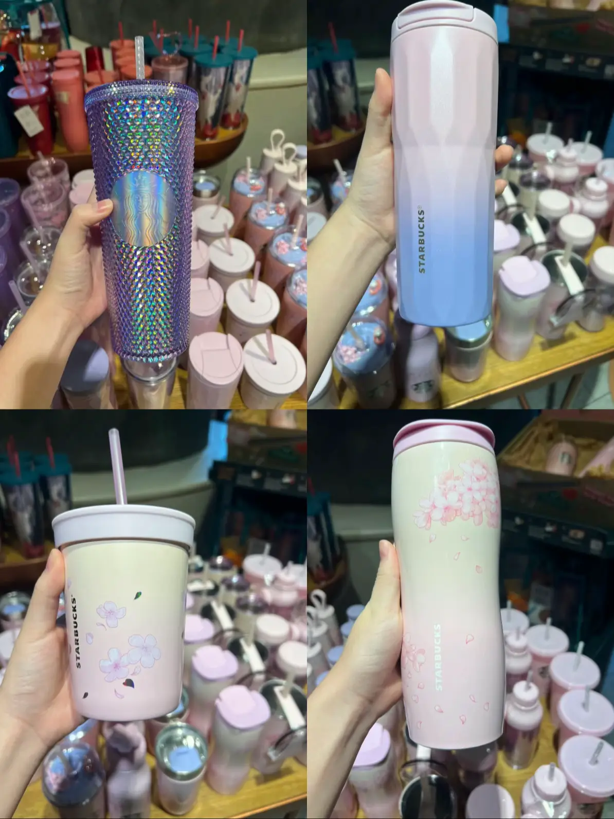 Starbucks Cherry Blossom Collection 24🌸 | แกลเลอรีที่โพสต์โดย 𝗔𝗣𝗣𝗟𝗘 𝗞𝗧 ...