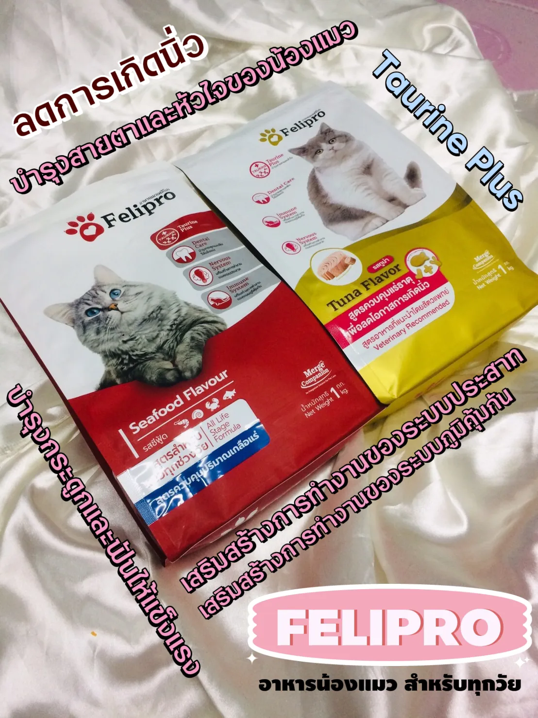 อาหารแมว felipro | แกลเลอรีที่โพสต์โดย ชอบสีชมพู💖 | Lemon8