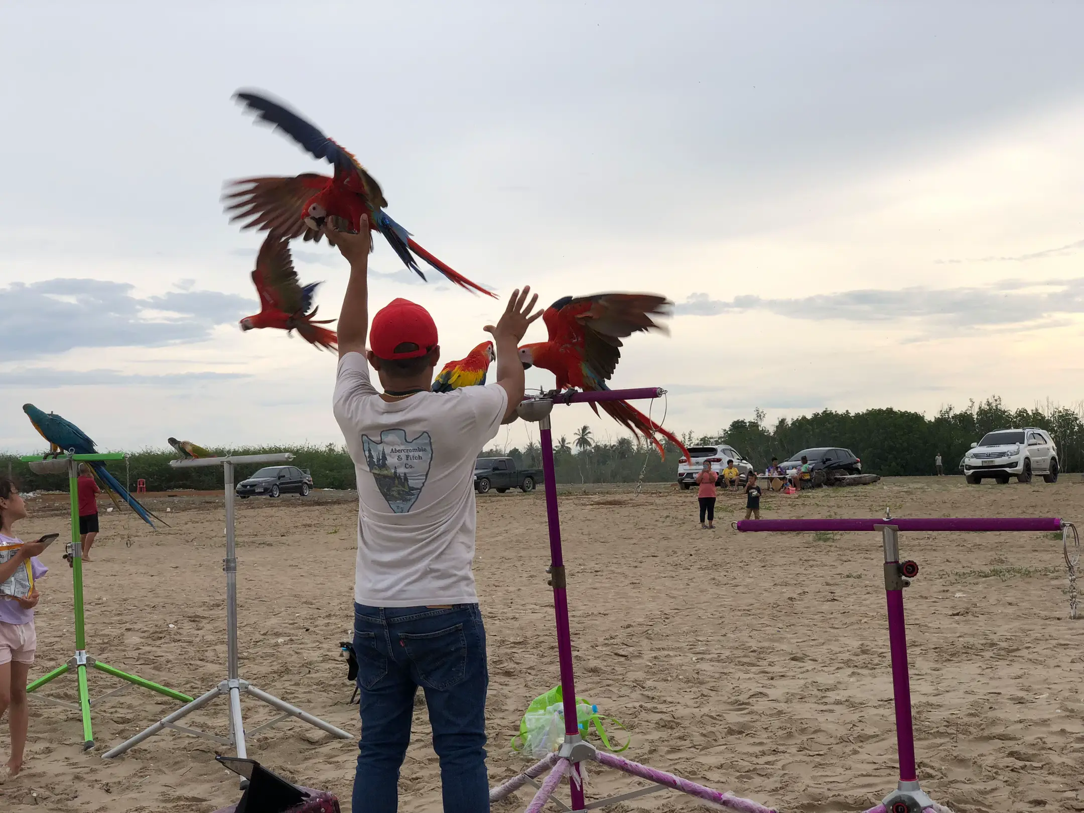 เพื่อนร่วมบินทริปนี้ | แกลเลอรีที่โพสต์โดย Freelife/time | Lemon8